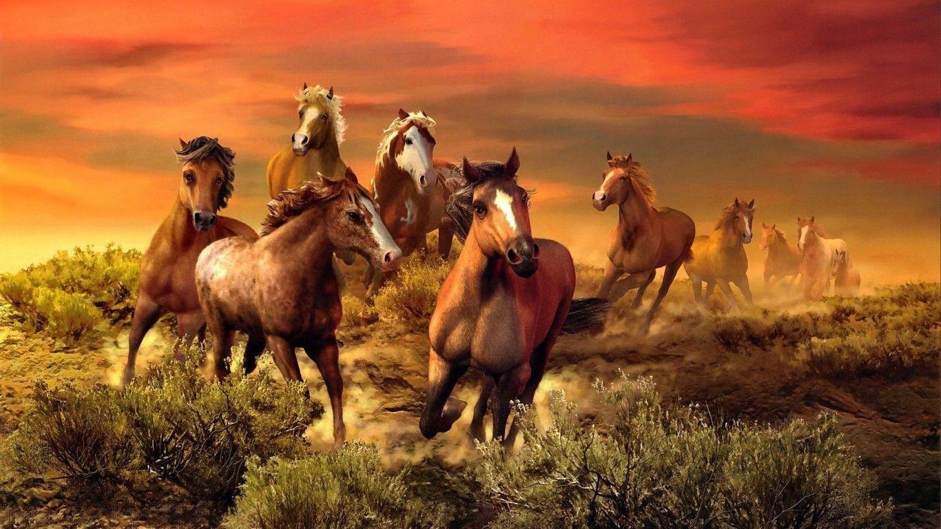 7 Horses Wallpapers - Top Free 7 Horses Backgrounds - WallpaperAccess