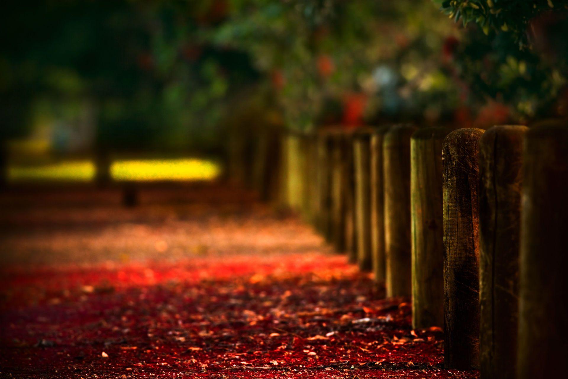 Best Photography Wallpapers - Top Free Best Photography Backgrounds ...