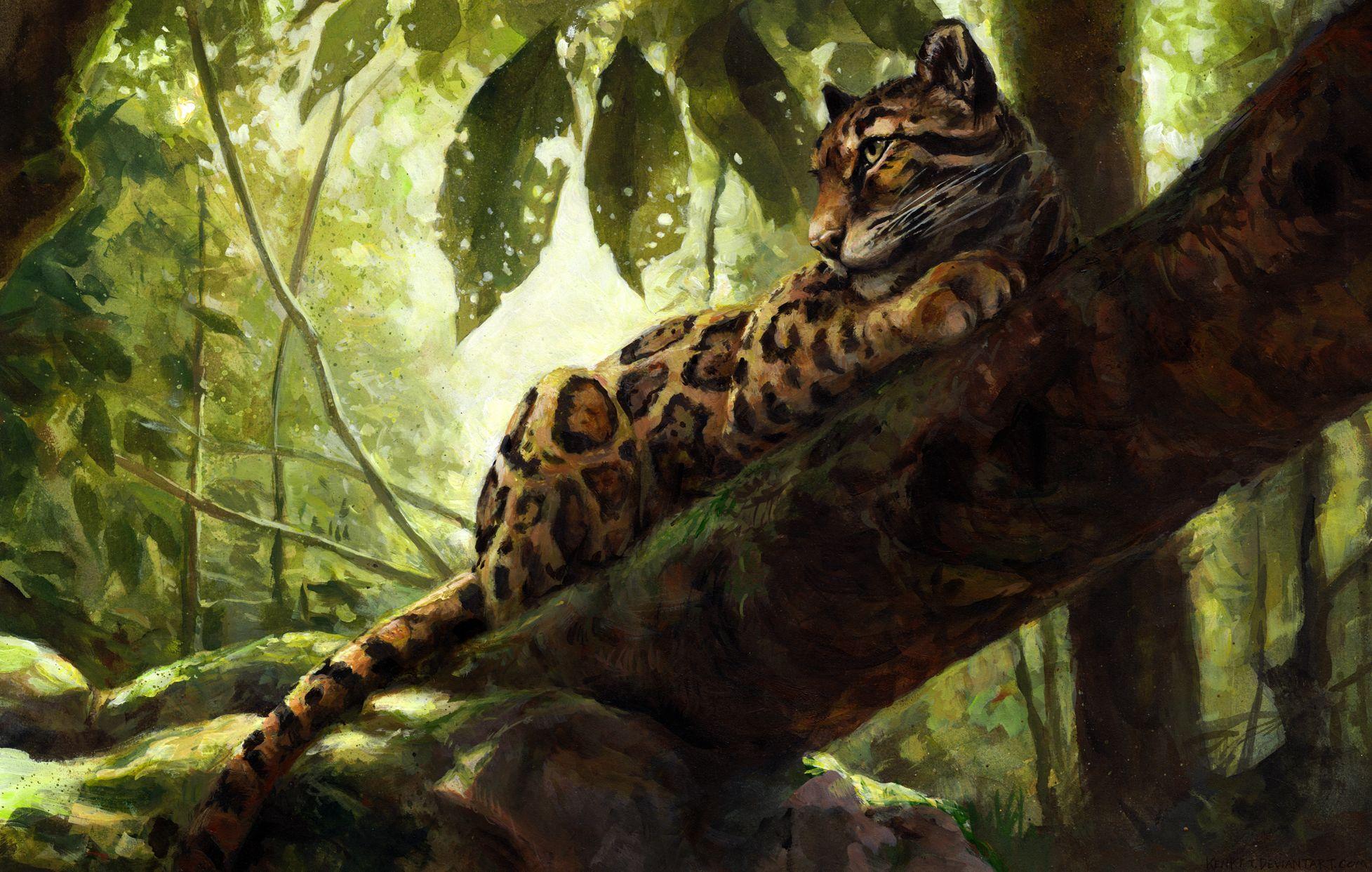 Clouded Leopard Wallpapers - Top Free Clouded Leopard Backgrounds ...