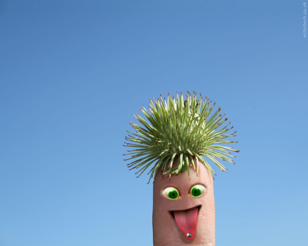 Ridiculous Desktop Wallpapers - Top Free Ridiculous Desktop Backgrounds ...