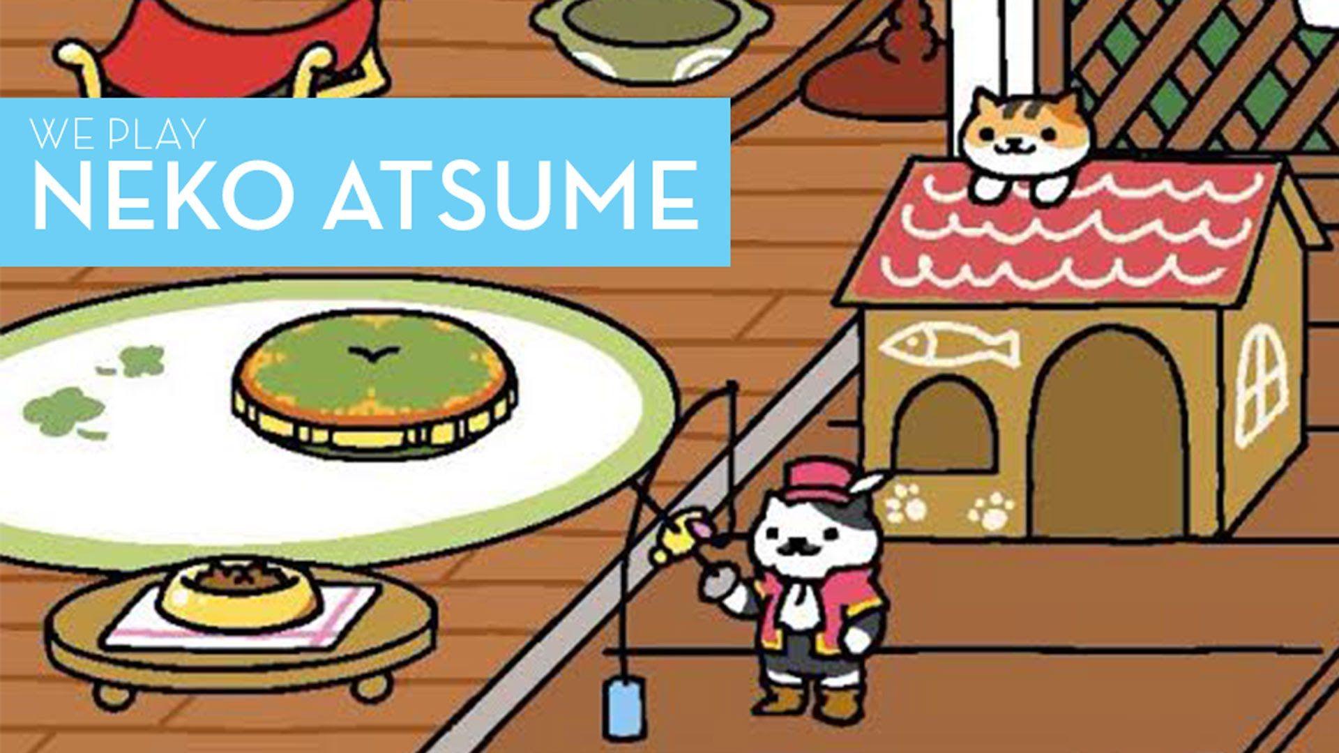 Japanese Cat Wallpapers - Top Free Japanese Cat Backgrounds ...