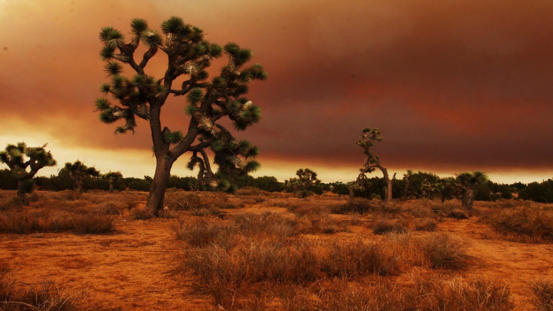 Mojave Desert Wallpapers - Top Free Mojave Desert Backgrounds ...