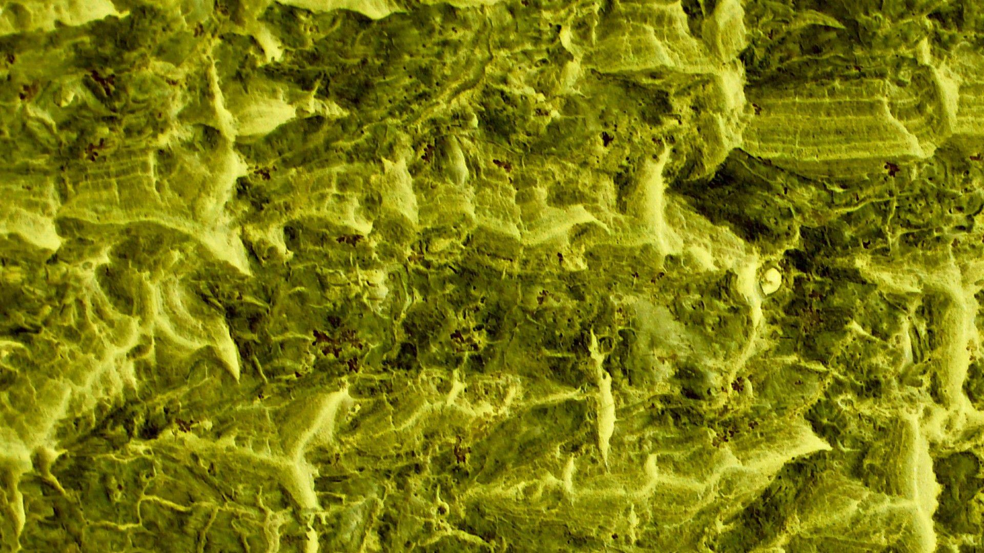 Olive HD Wallpapers - Top Free Olive HD Backgrounds - WallpaperAccess