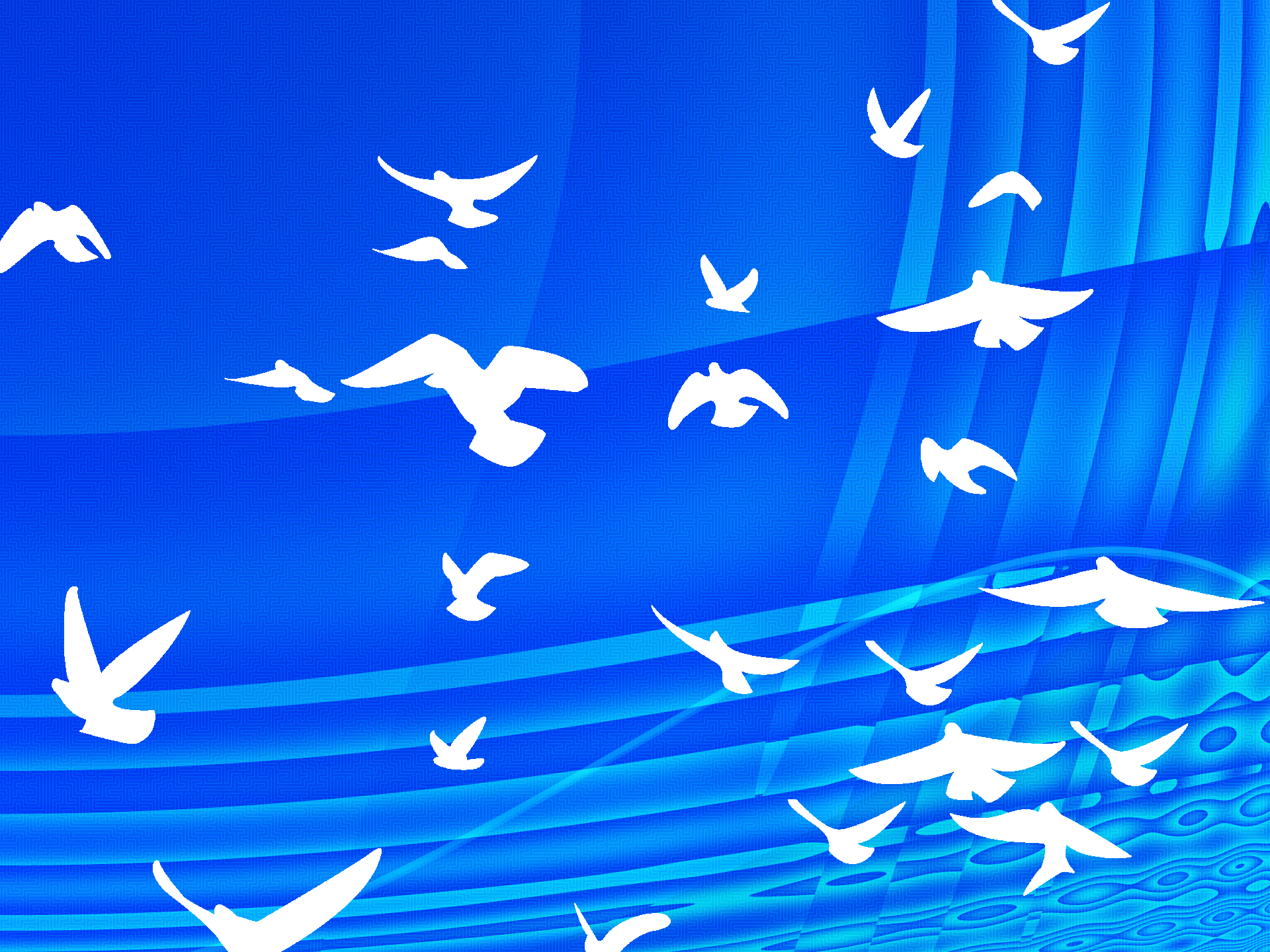 Simple Birds Wallpapers - Top Free Simple Birds Backgrounds ...