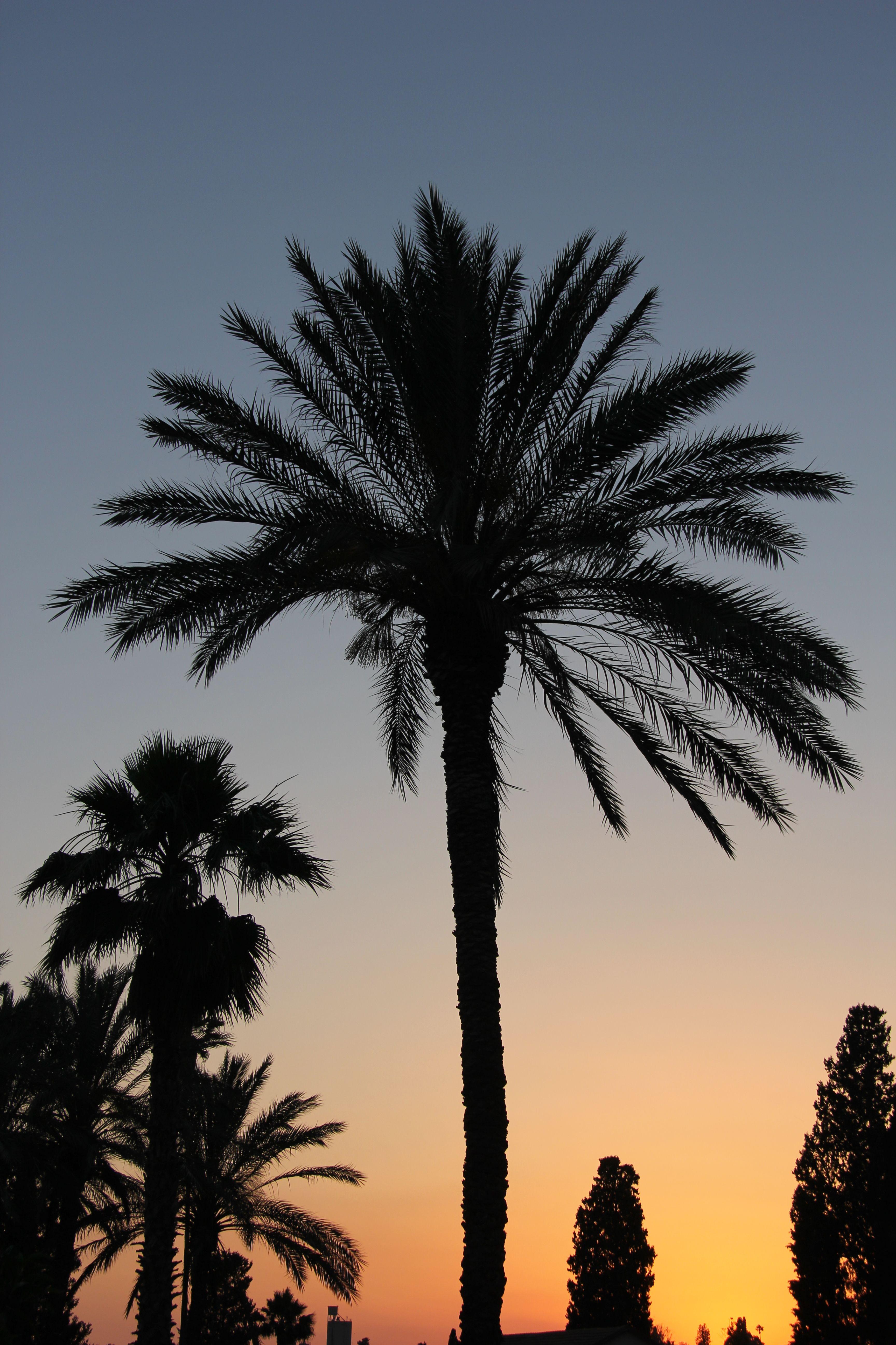 Israel iPhone Wallpapers - Top Free Israel iPhone Backgrounds ...