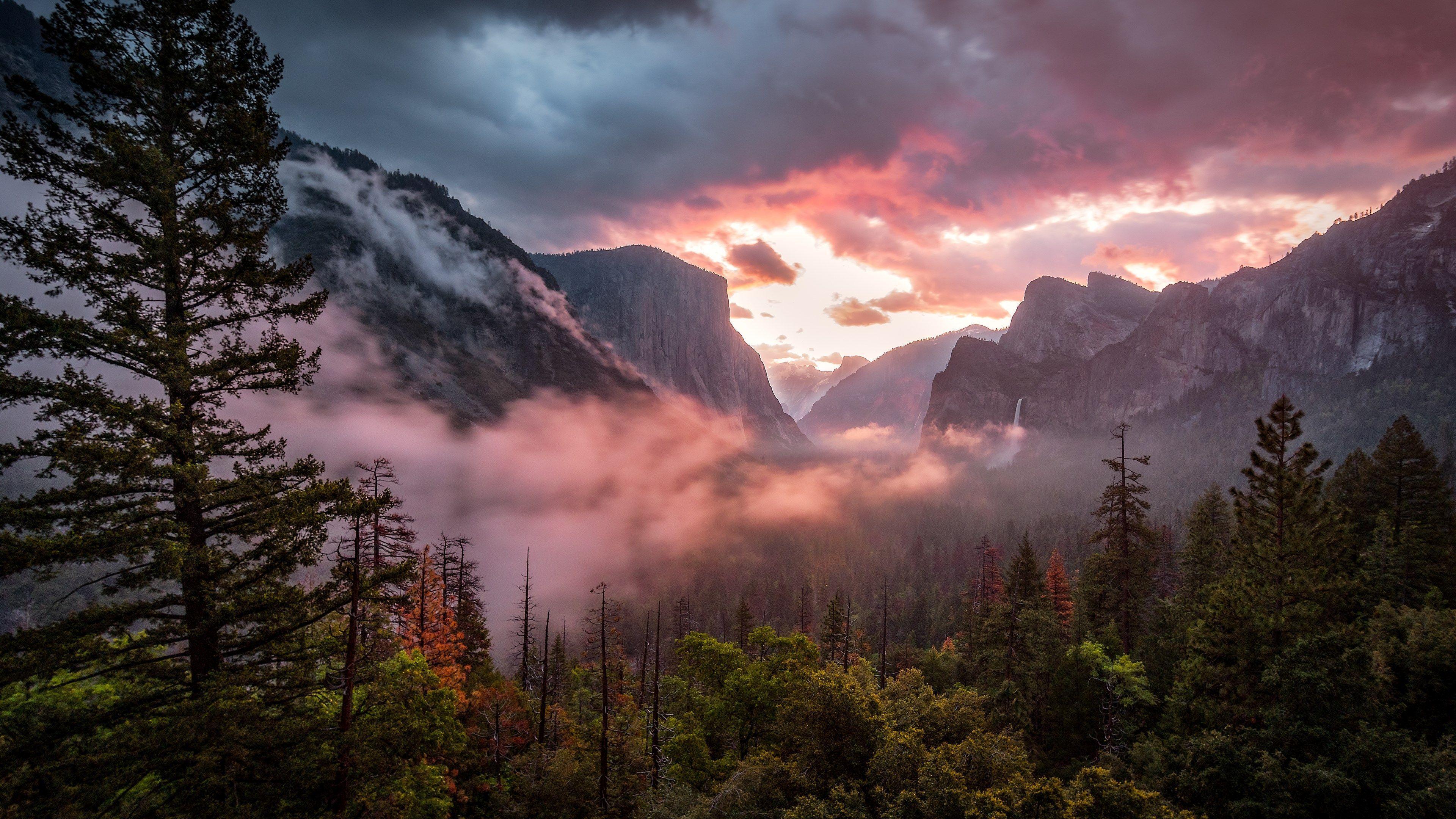 Beautiful Computer Wallpapers - Top Free Beautiful Computer Backgrounds ...