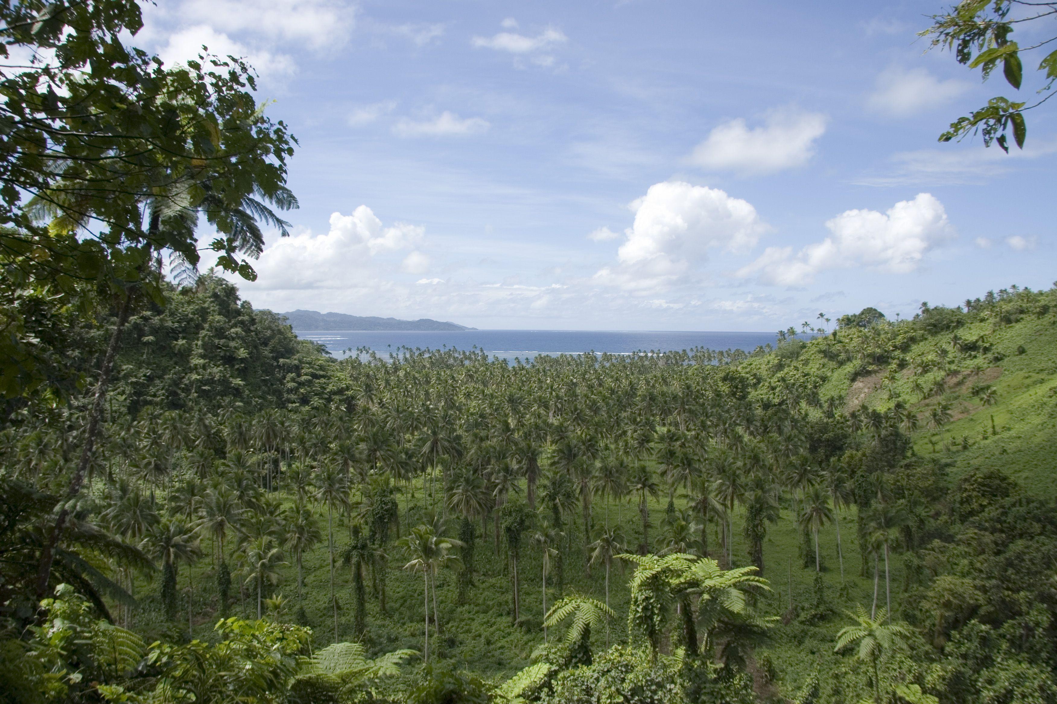 Fiji Landscape Wallpapers - Top Free Fiji Landscape Backgrounds ...