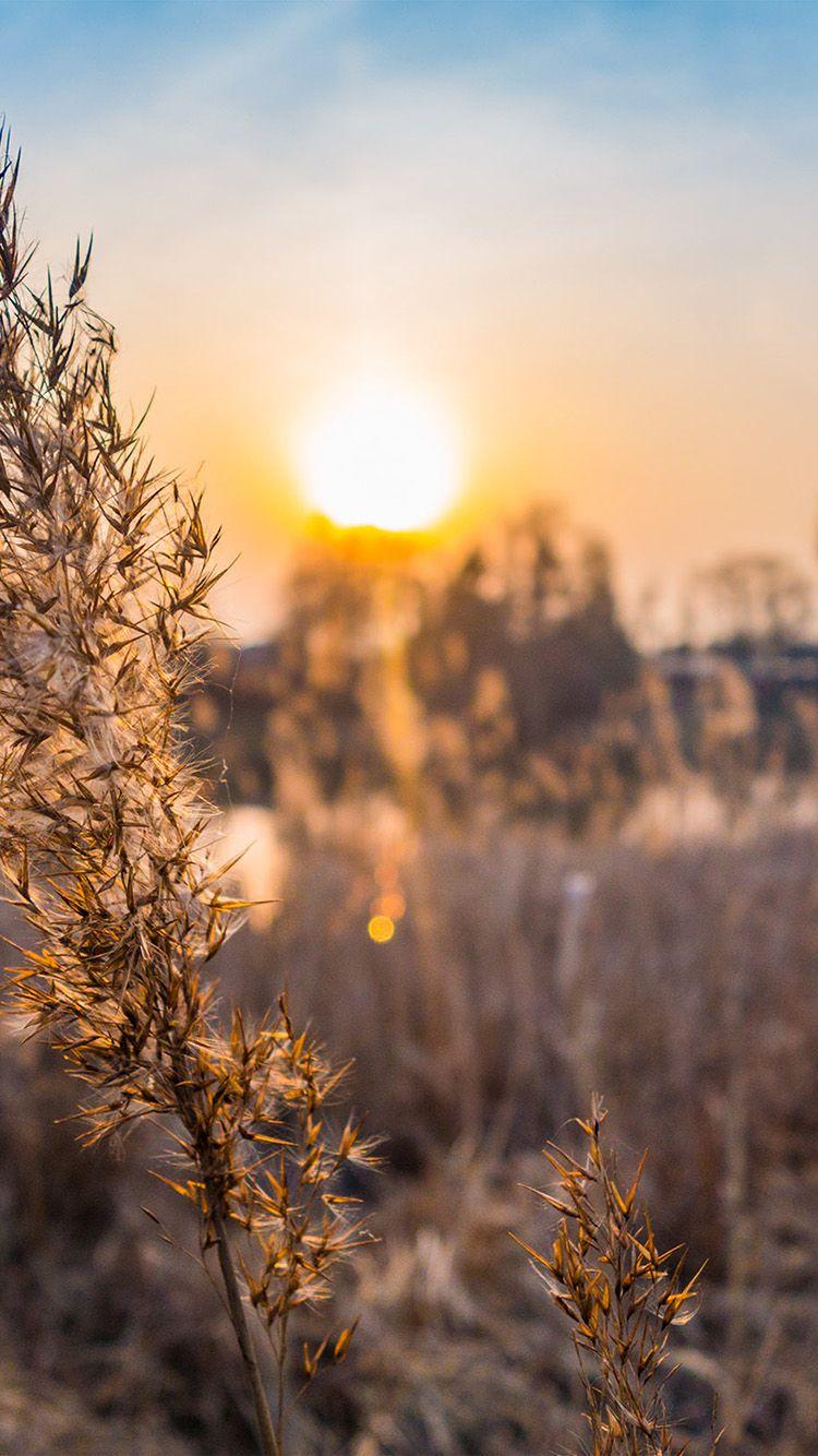 Fall Weather Wallpapers - Top Free Fall Weather Backgrounds ...