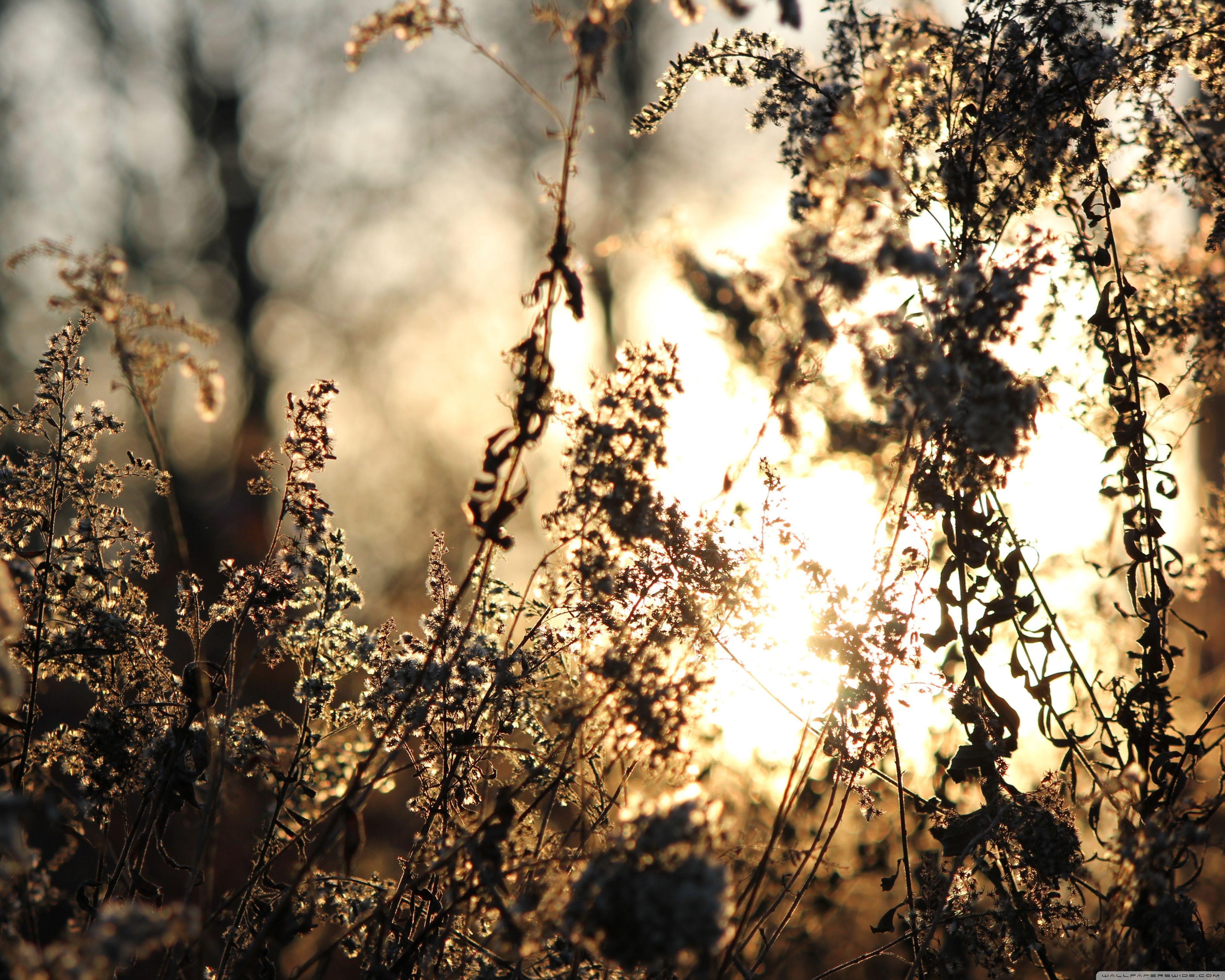 Fall Weather Wallpapers - Top Free Fall Weather Backgrounds ...