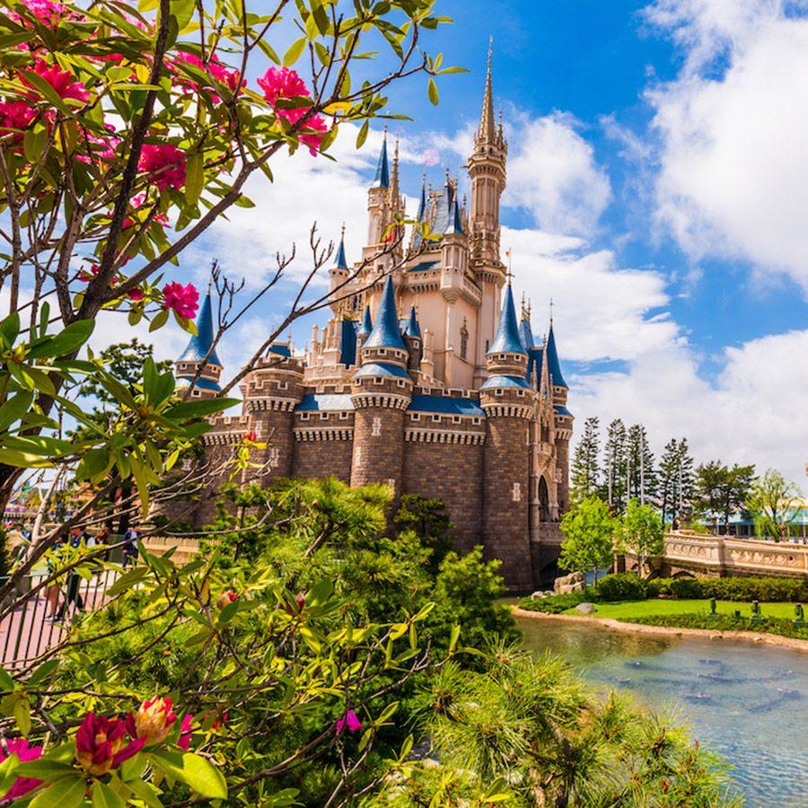 Tokyo Disneyland Wallpapers - Top Free Tokyo Disneyland Backgrounds ...