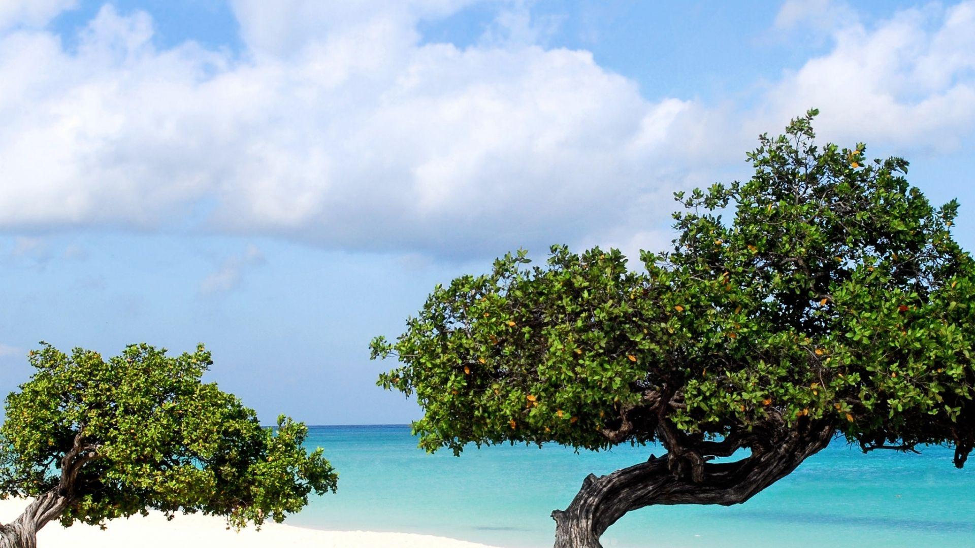 Aruba 1920X1080 Wallpapers - Top Free Aruba 1920X1080 Backgrounds ...