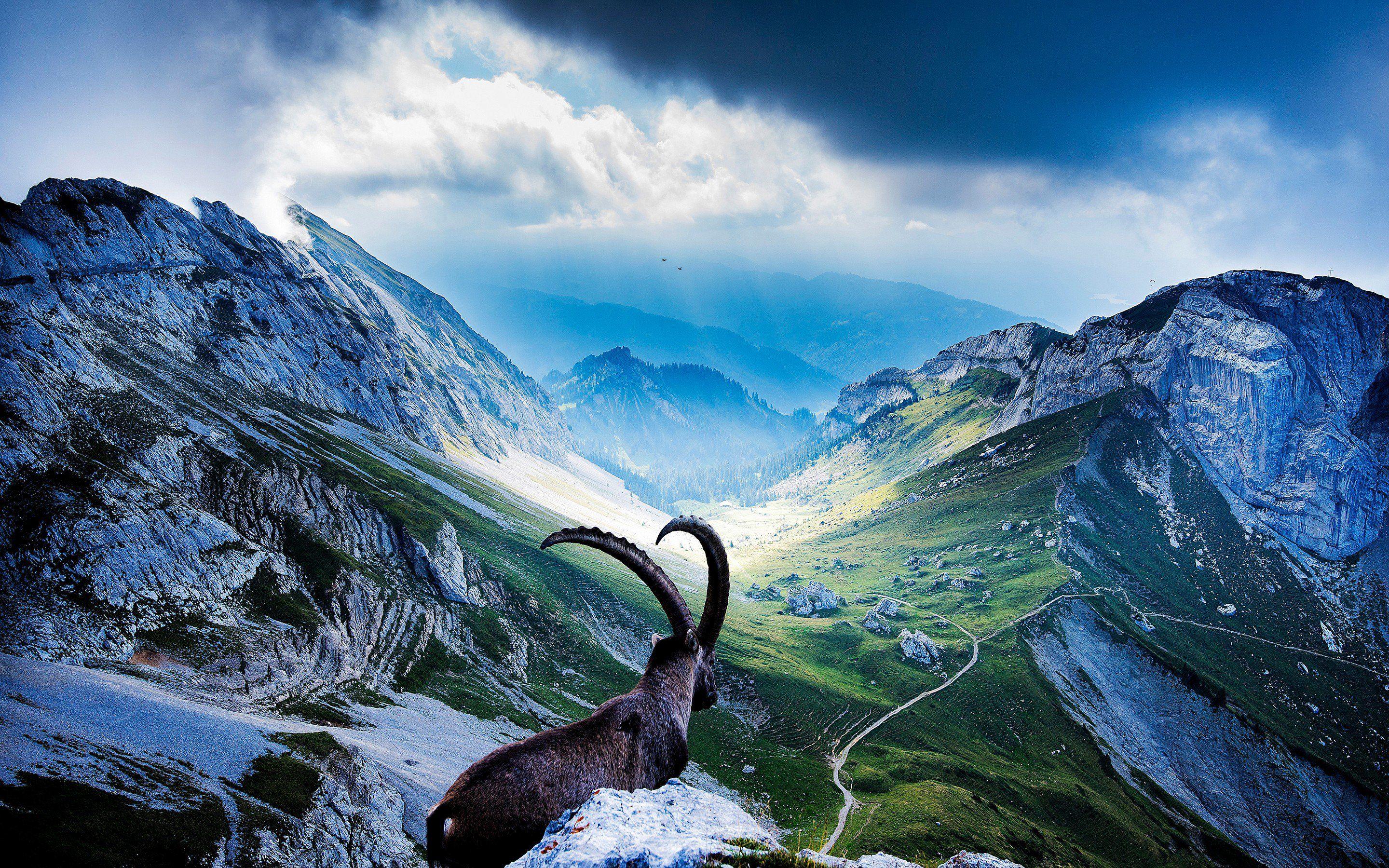 Mount Pilatus Wallpapers - Top Free Mount Pilatus Backgrounds ...