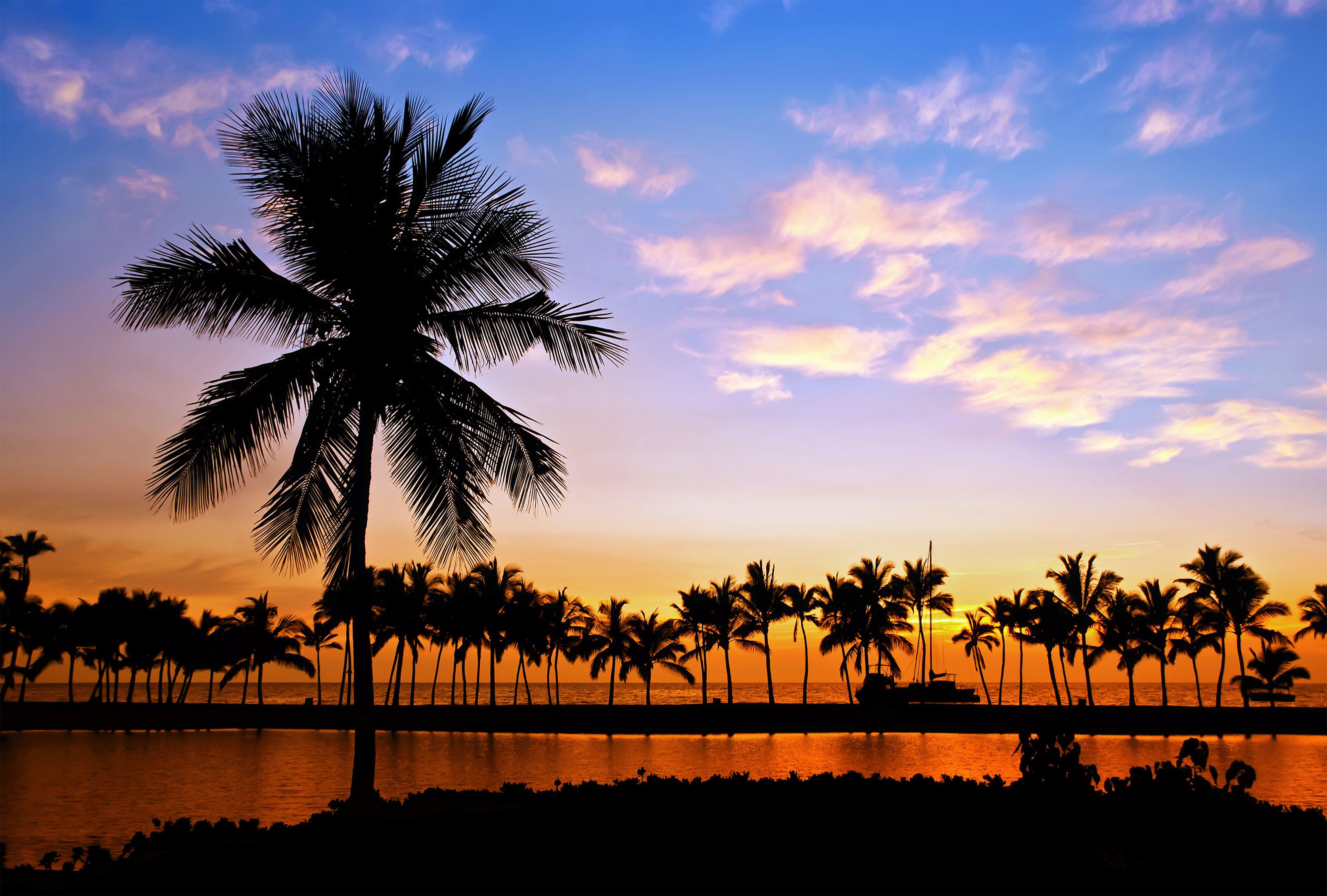 Summer Sunrise Wallpapers - Top Free Summer Sunrise Backgrounds ...