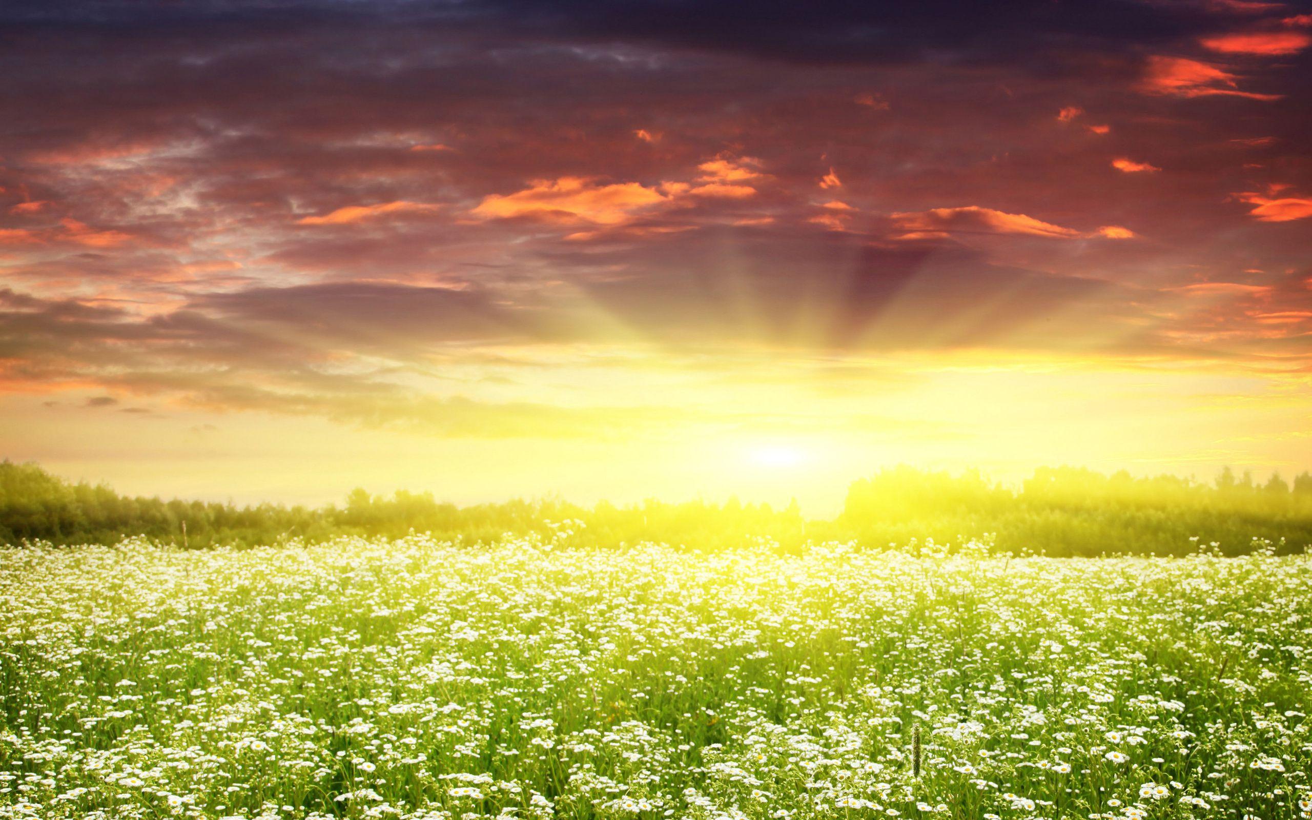 Summer Sunrise Wallpapers - Top Free Summer Sunrise Backgrounds ...