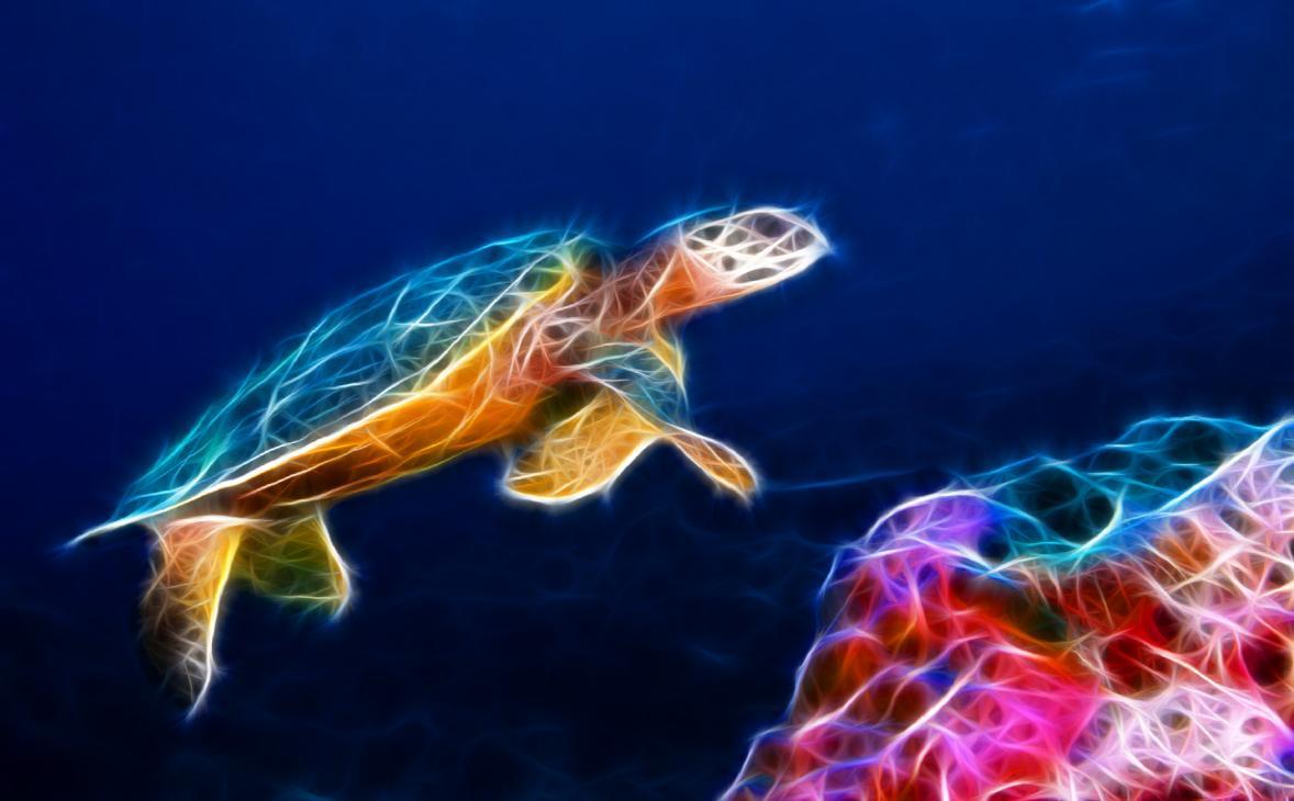 Cool Turtle Wallpapers - Top Free Cool Turtle Backgrounds - WallpaperAccess