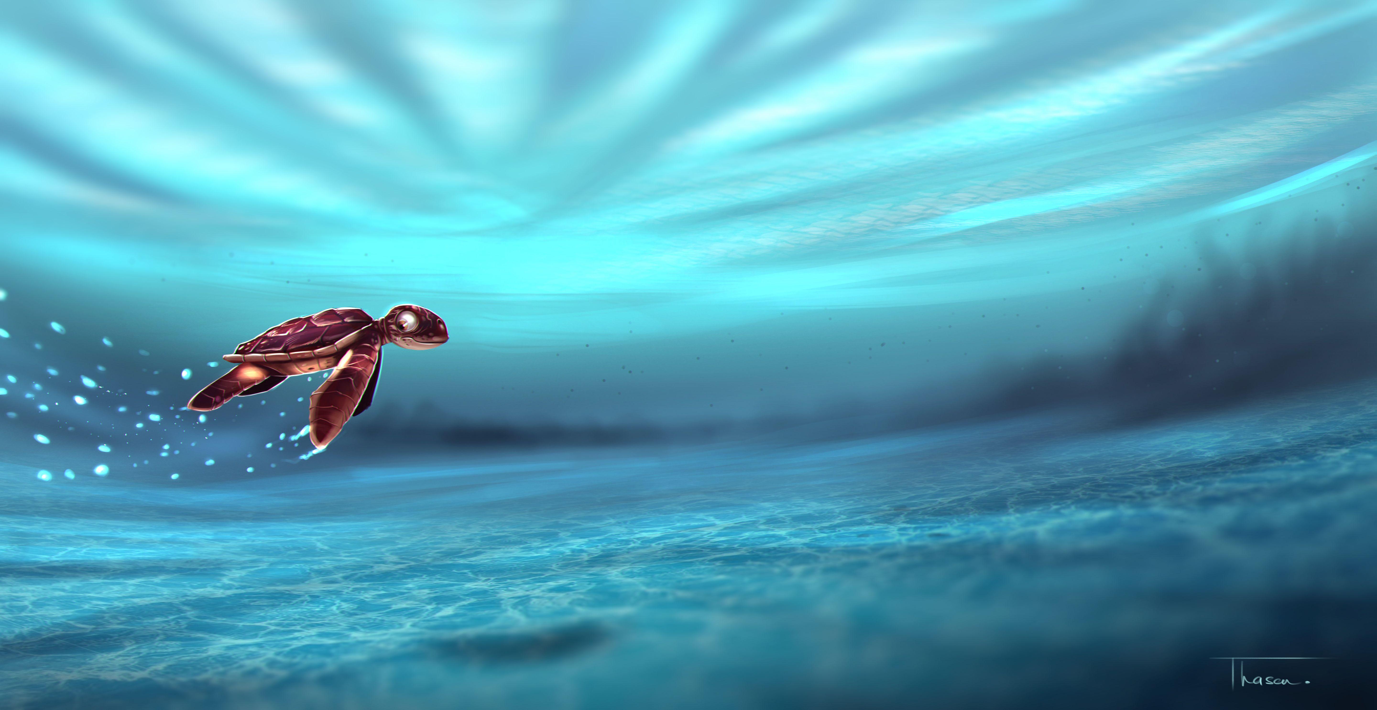 Cool Turtle Wallpapers - Top Free Cool Turtle Backgrounds - WallpaperAccess