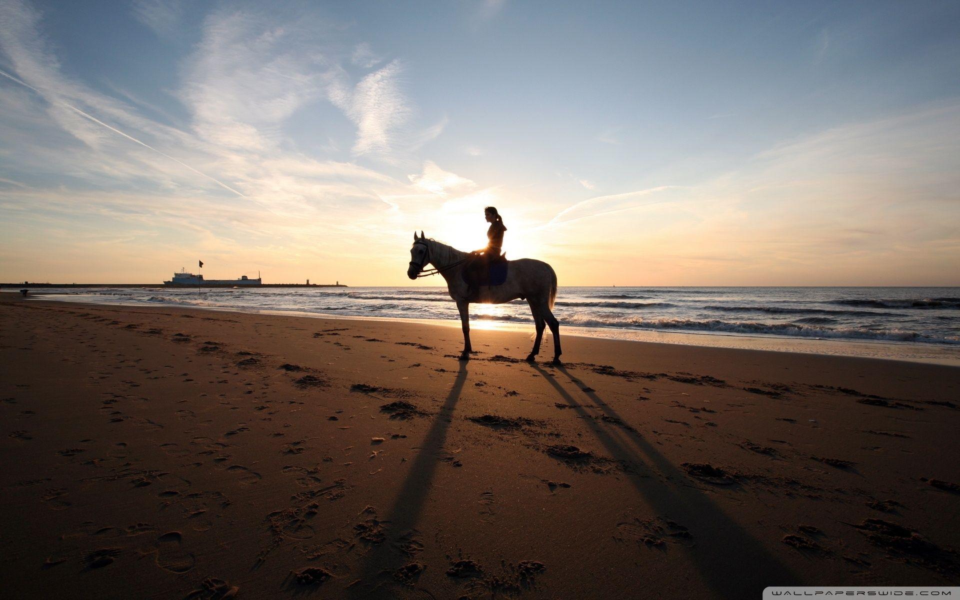 Horse On Beach Wallpapers - Top Free Horse On Beach Backgrounds ...