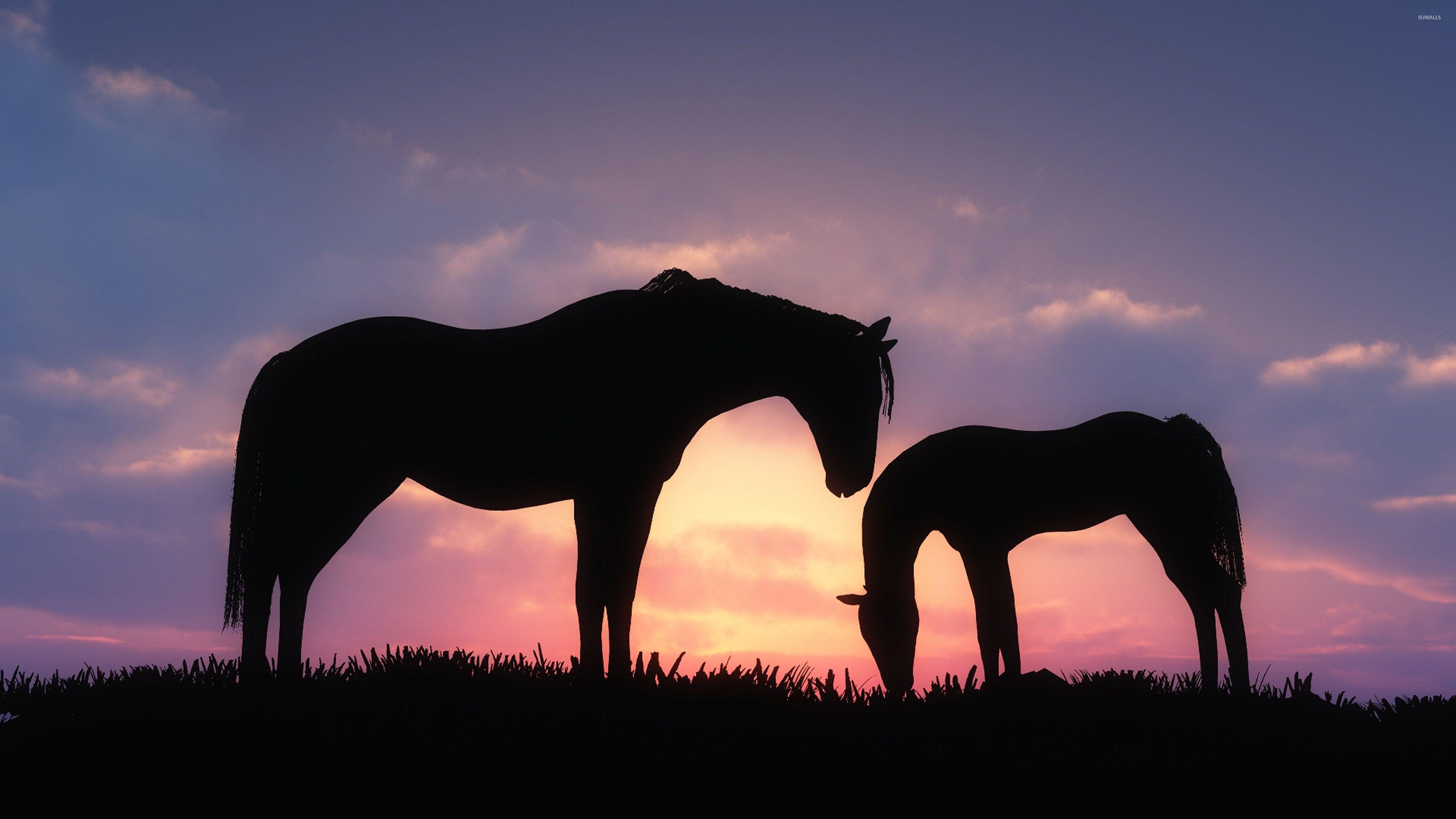 Animal Sunset Wallpapers - Top Free Animal Sunset Backgrounds ...