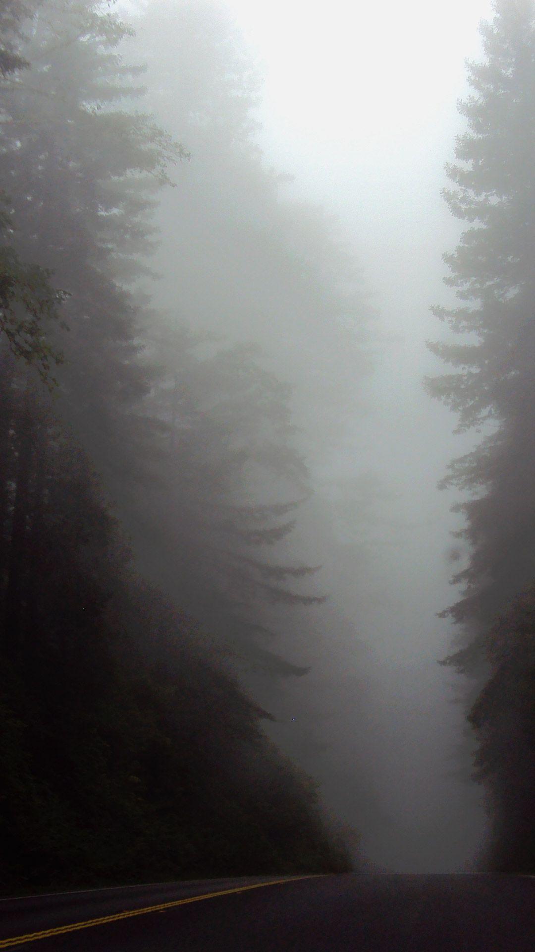 Fog Phone Wallpapers - Top Free Fog Phone Backgrounds - WallpaperAccess