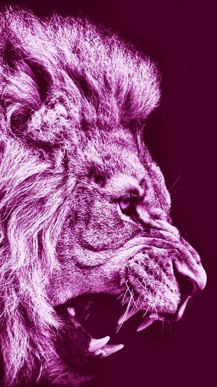 Pink Lion Wallpapers - Top Free Pink Lion Backgrounds - WallpaperAccess