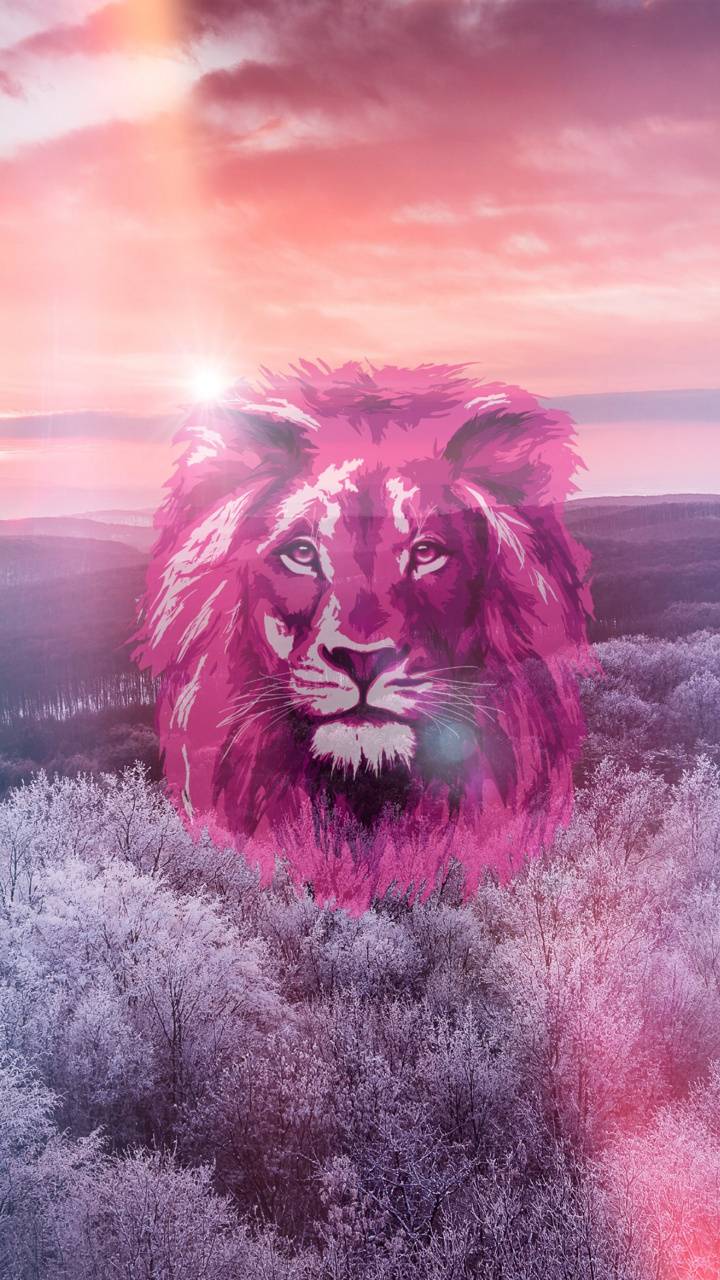 Pink Lion Wallpapers - Top Free Pink Lion Backgrounds - WallpaperAccess