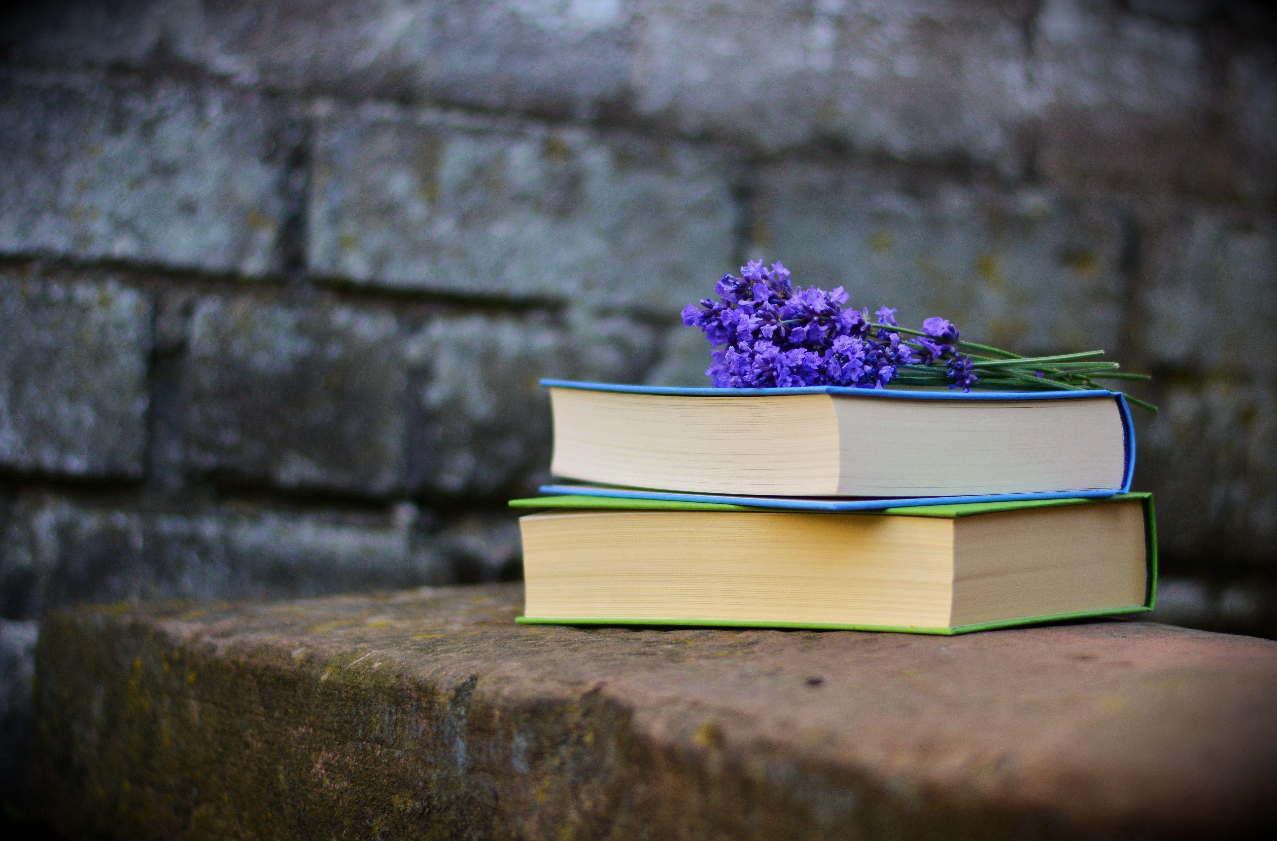 Books And Flowers Wallpapers Top Free Books And Flowers Backgrounds Wallpaperaccess