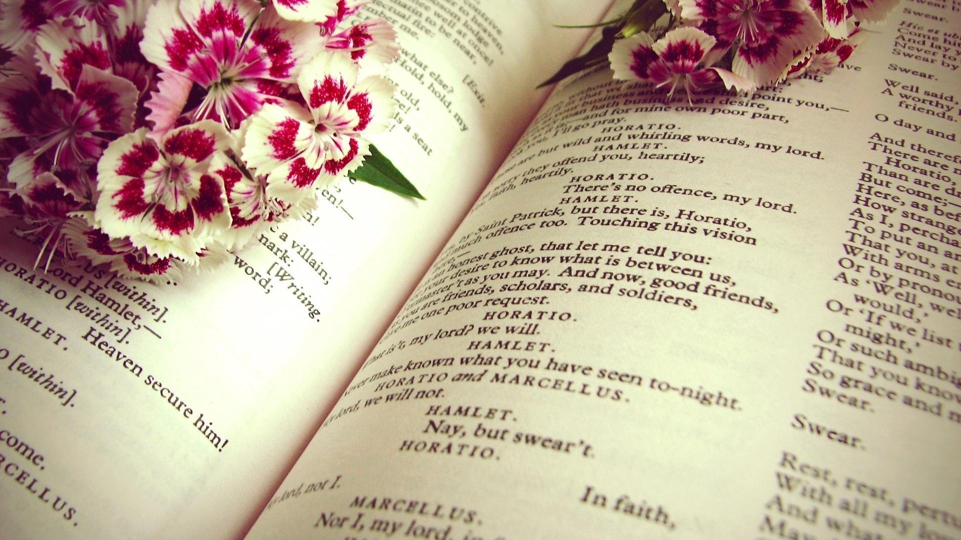 Flowers and Books Wallpapers - Top Free Flowers and Books Backgrounds ...