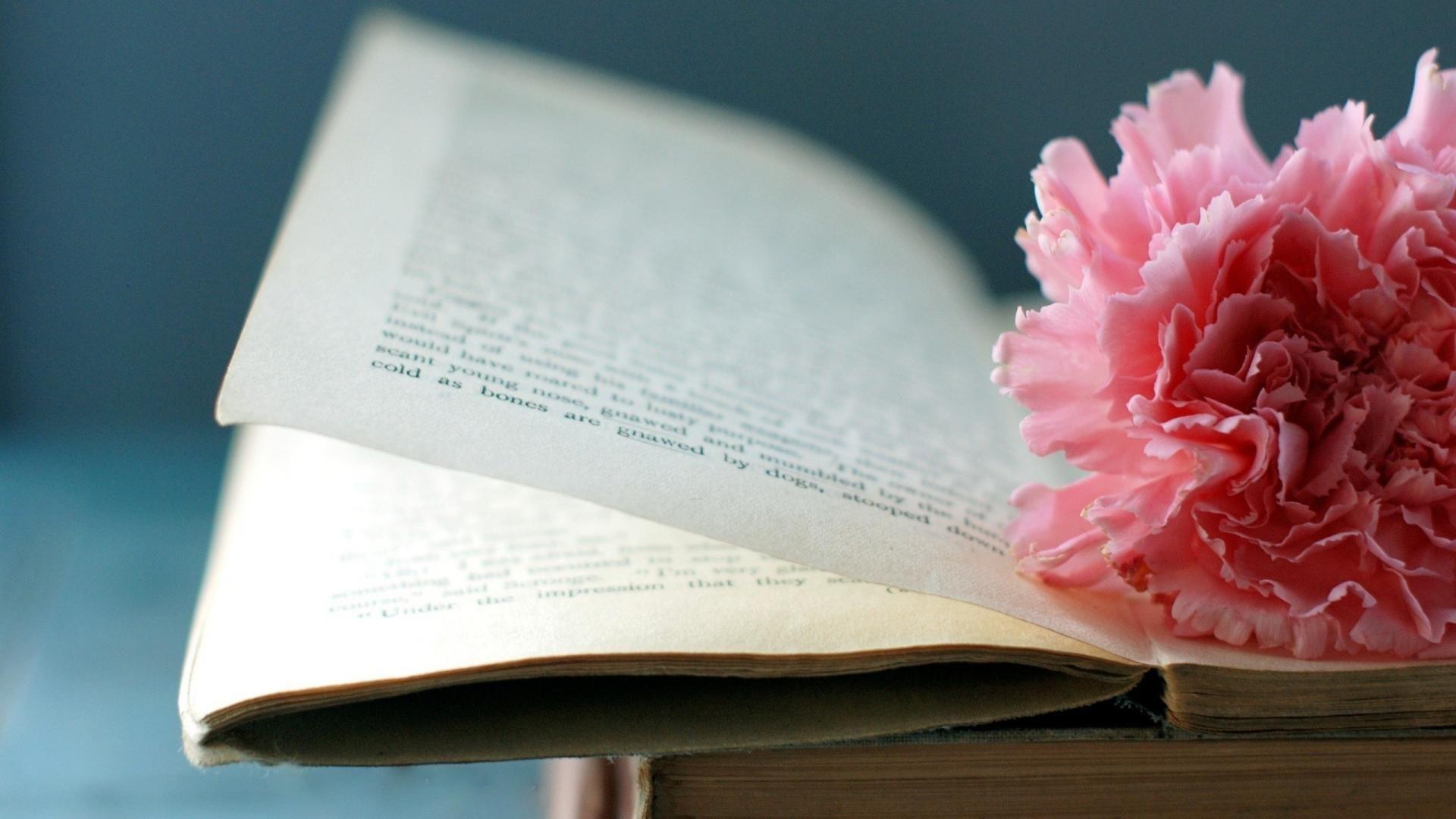 Books and Flowers Wallpapers - Top Free Books and Flowers Backgrounds ...