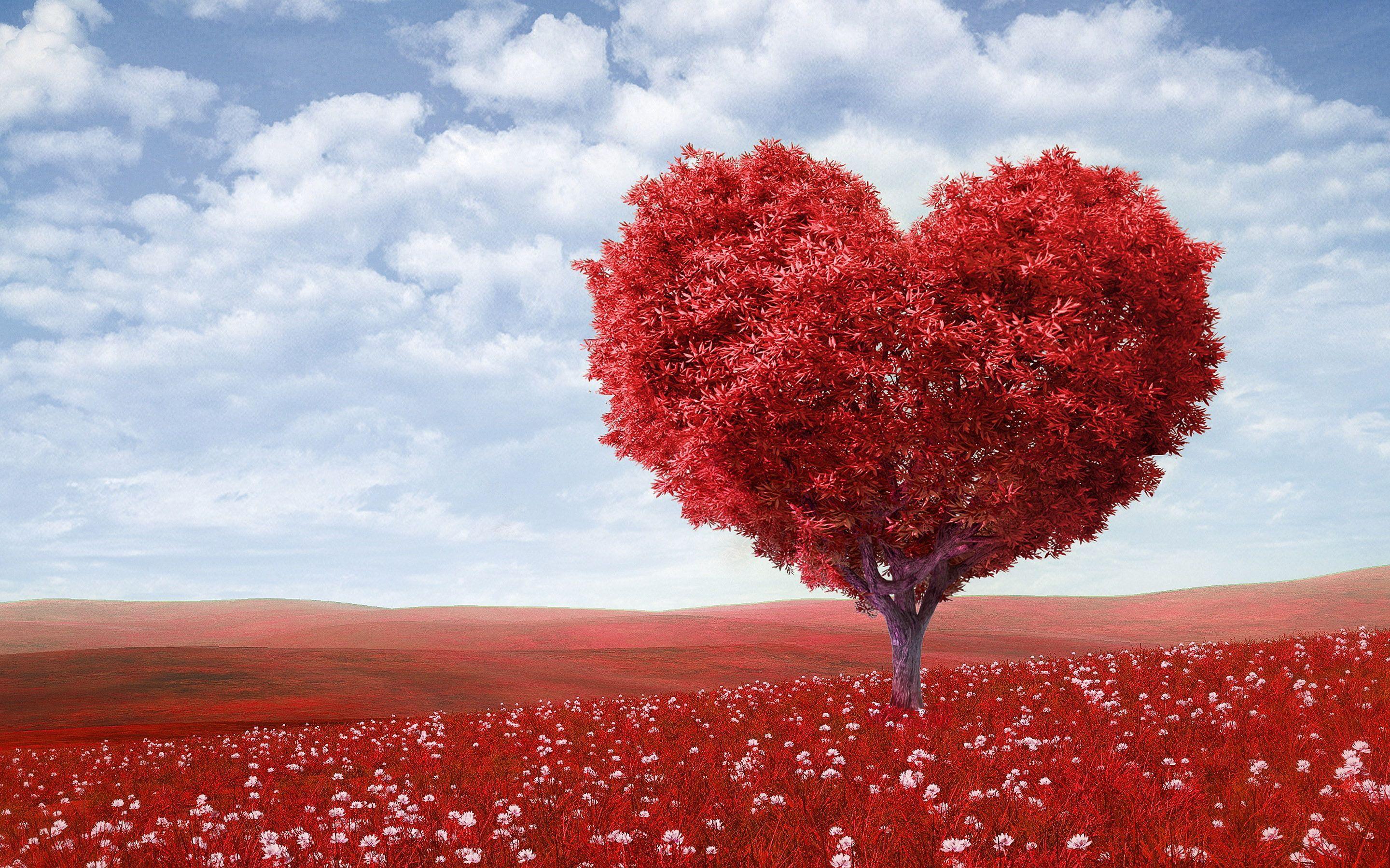 Love Wallpapers - Top Free Love Backgrounds - WallpaperAccess