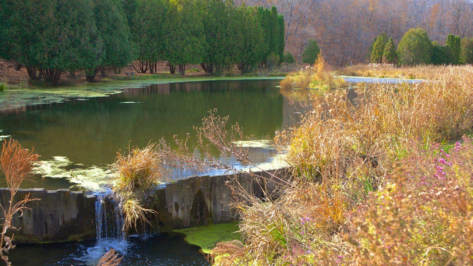 Minnesota Landscape Wallpapers - Top Free Minnesota Landscape ...