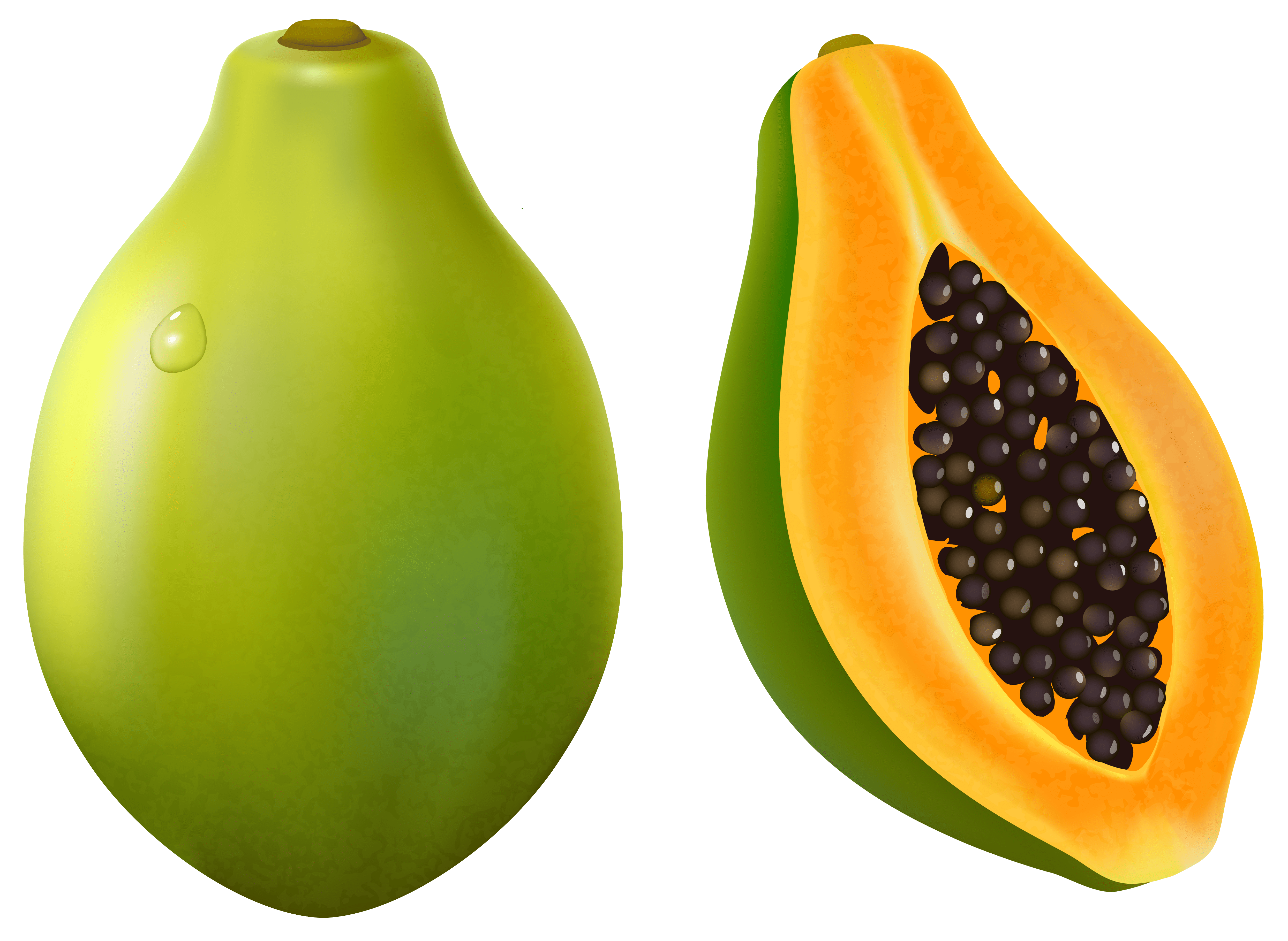 Papaya Wallpapers - Top Free Papaya Backgrounds - WallpaperAccess
