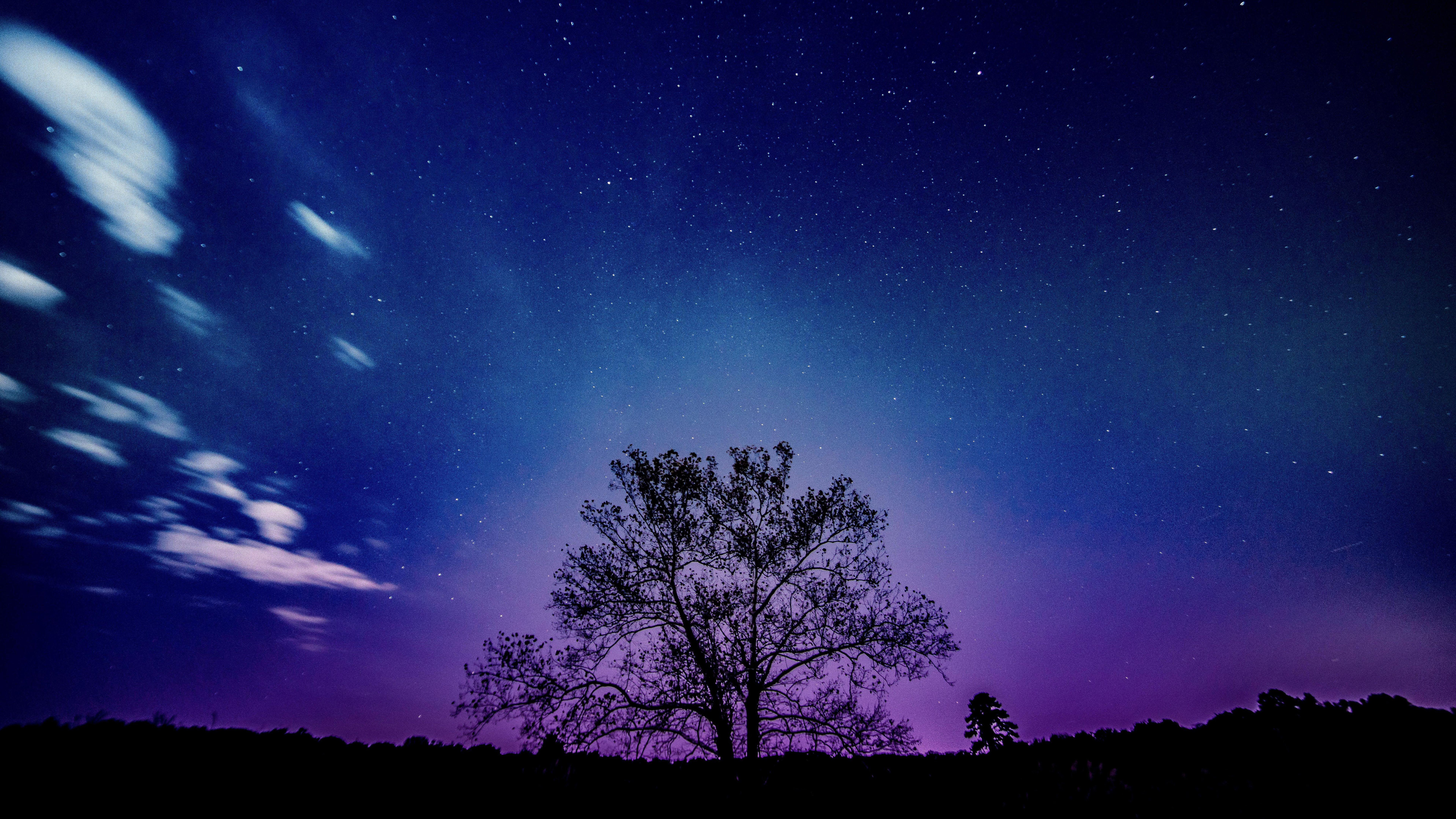 8K Purple Wallpapers - Top Free 8K Purple Backgrounds - WallpaperAccess 8K Purple Wallpapers - Top Free 8K Purple Backgrounds - WallpaperAccess