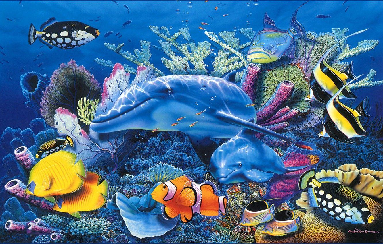 Beautiful Aquarium Wallpapers - Top Free Beautiful Aquarium Backgrounds ...