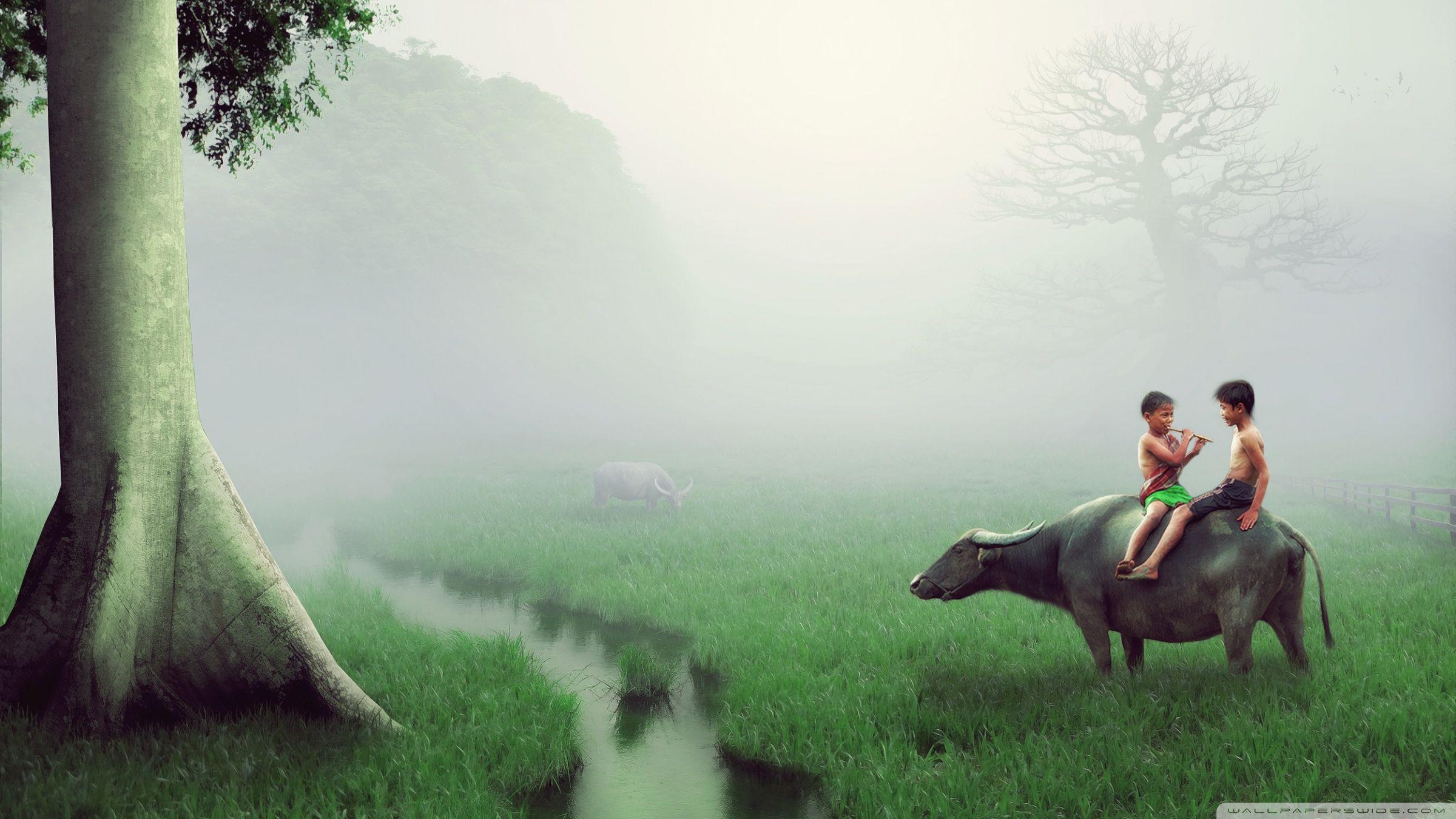 Farm HD Wallpapers - Top Free Farm HD Backgrounds - WallpaperAccess