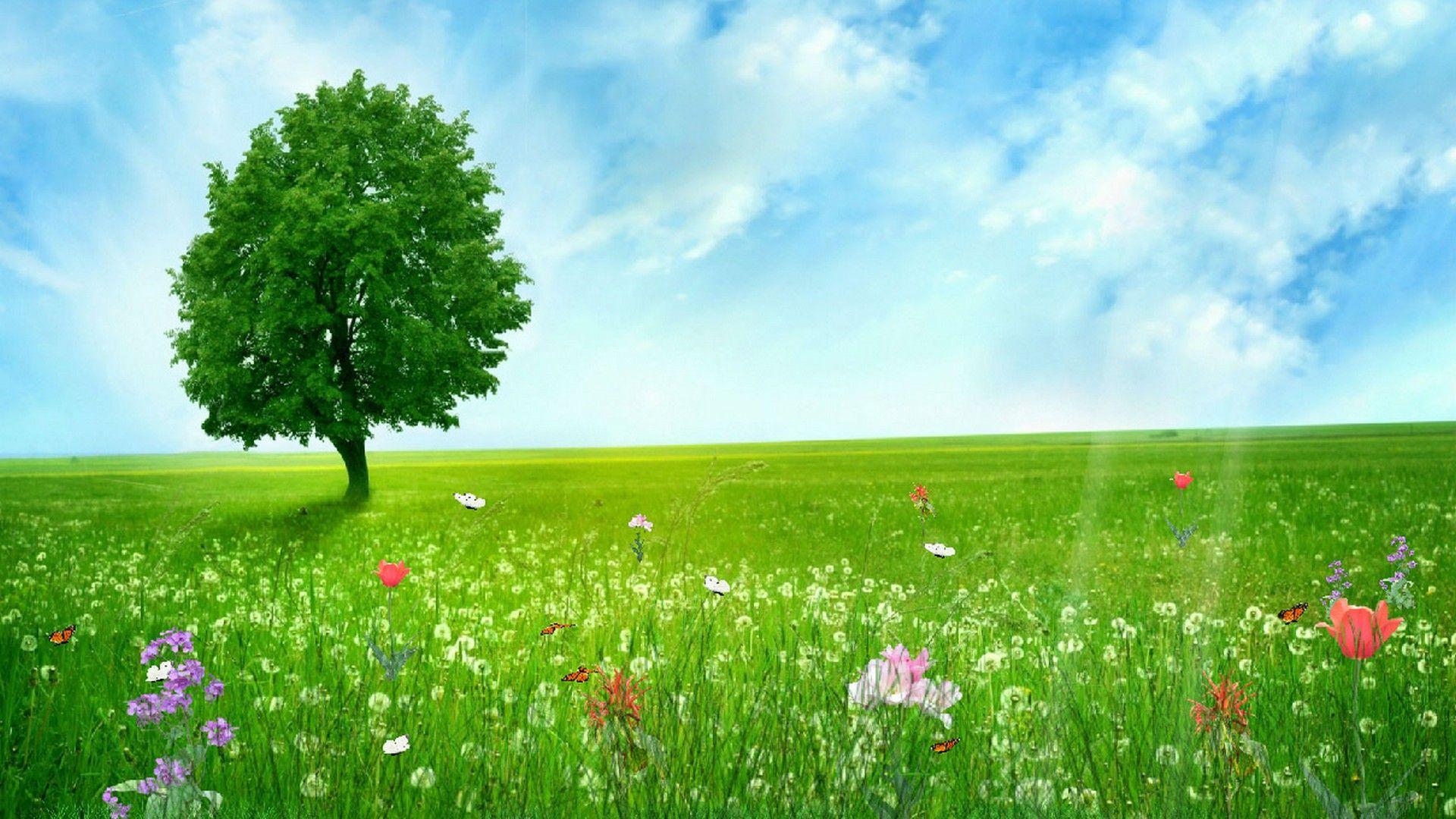 Spring Flowers Desktop Wallpapers - Top Free Spring Flowers Desktop ...