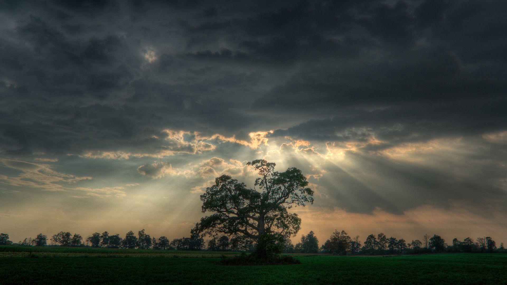 Future Nature Wallpapers - Top Free Future Nature Backgrounds ...