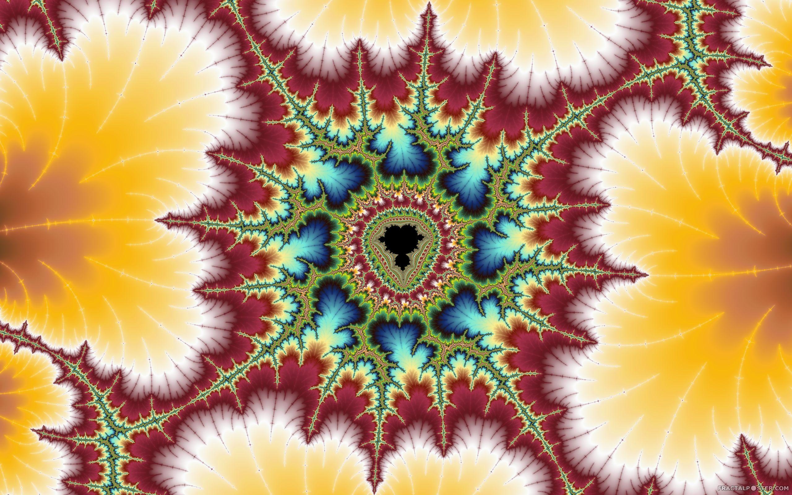 Ninja Star Wallpapers - Top Free Ninja Star Backgrounds - WallpaperAccess