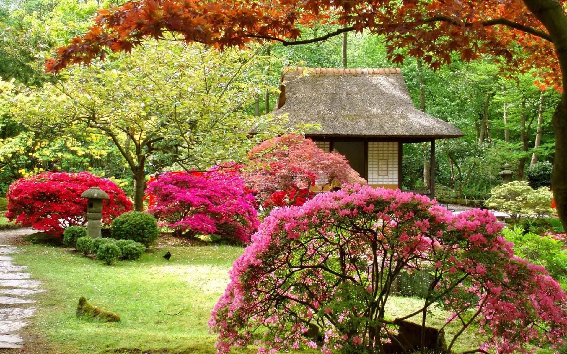 Japanese Flowers HD Wallpapers - Top Free Japanese Flowers HD ...