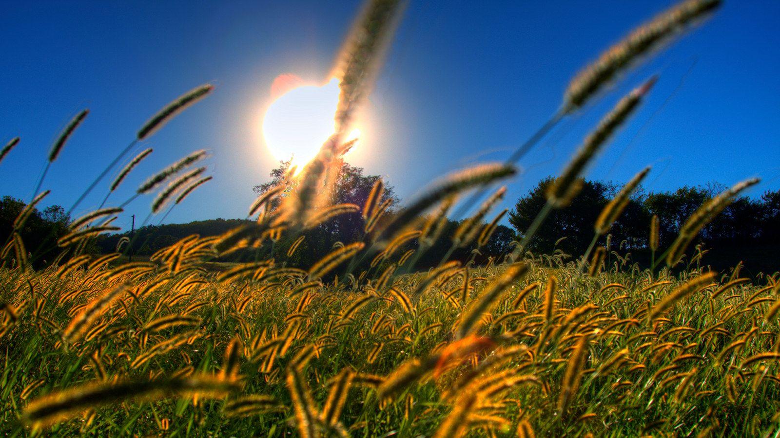 Extreme Weather Wallpapers - Top Free Extreme Weather Backgrounds ...