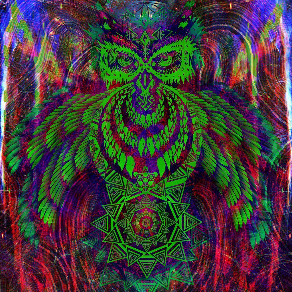 Trippy Owl Wallpapers - Top Free Trippy Owl Backgrounds - WallpaperAccess