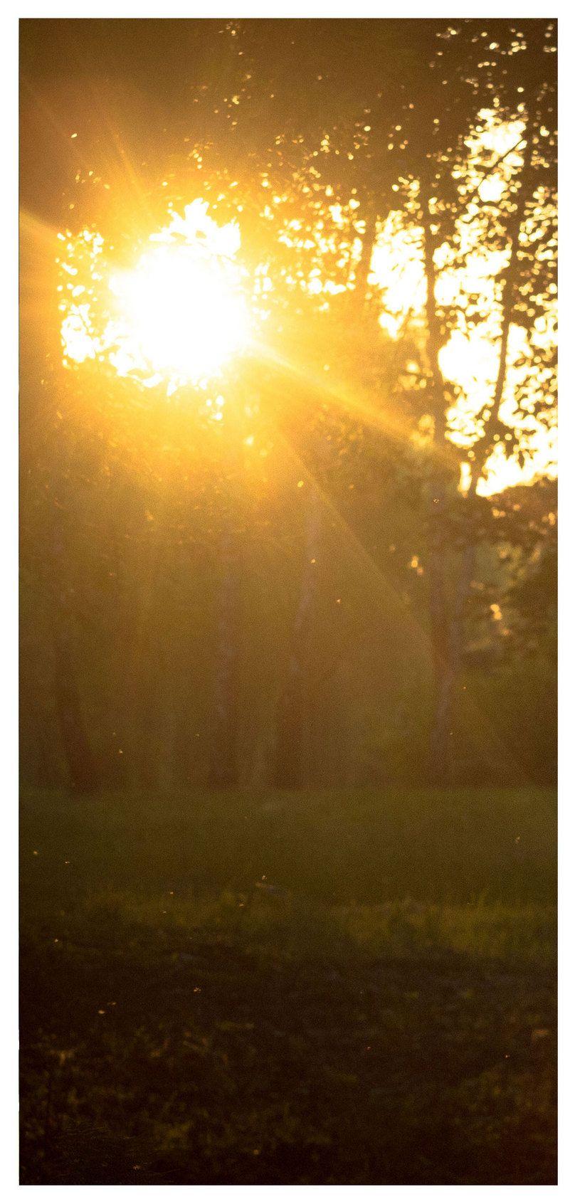 Sunshine Mobile Wallpapers - Top Free Sunshine Mobile Backgrounds ...