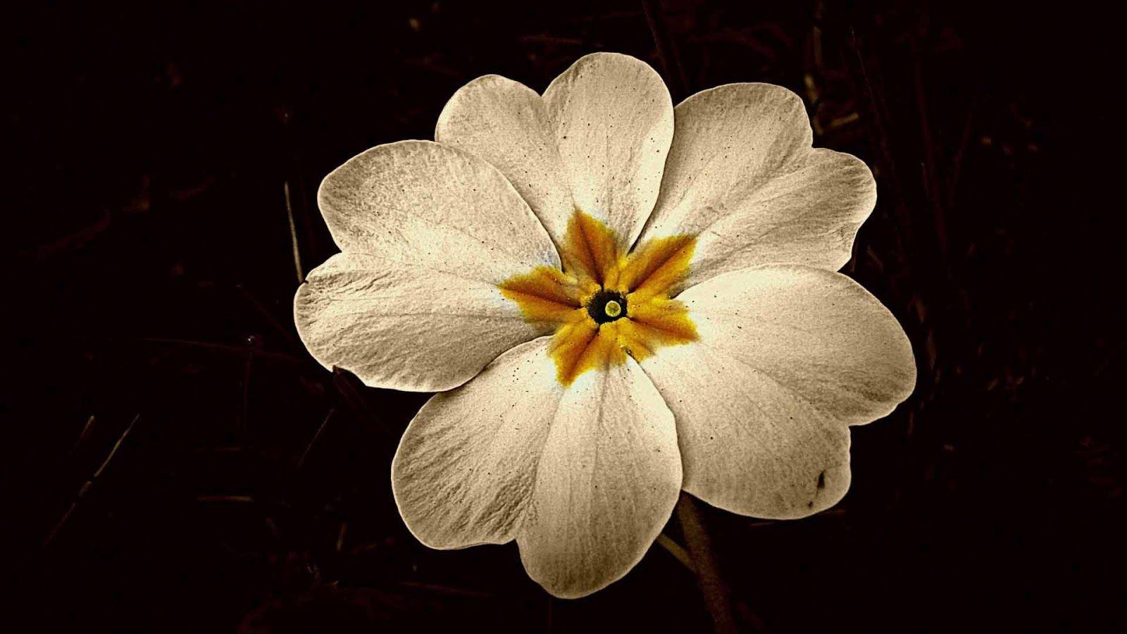 Vintage Spring Desktop Wallpapers - Top Free Vintage Spring Desktop ...