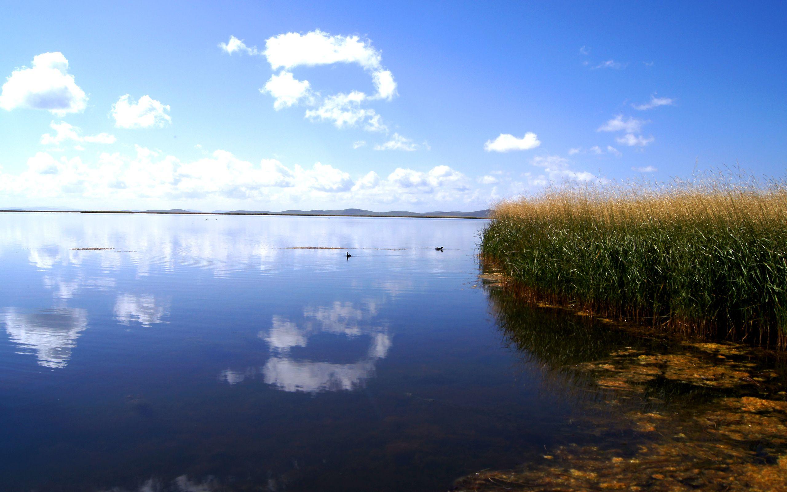 Deepin Wallpapers - Top Free Deepin Backgrounds - WallpaperAccess