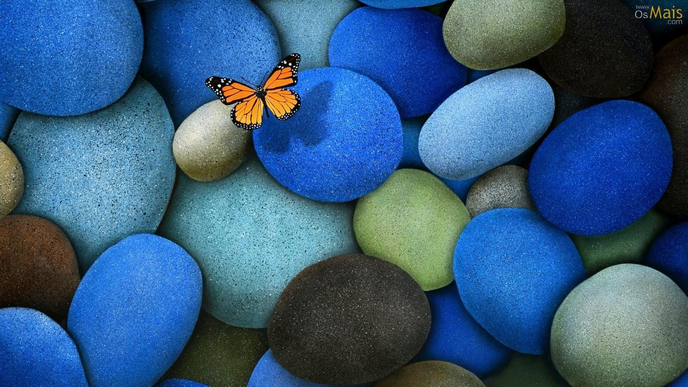 Borboleta Wallpapers - Top Free Borboleta Backgrounds - WallpaperAccess