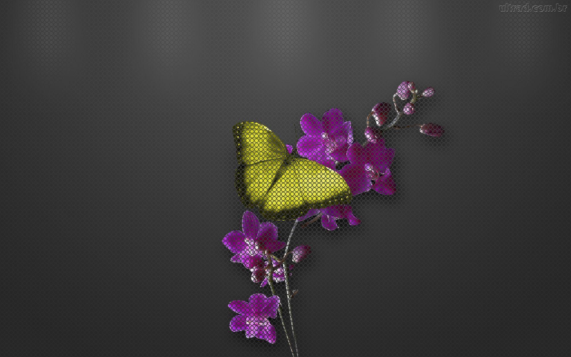 Borboleta Wallpapers - Top Free Borboleta Backgrounds - WallpaperAccess