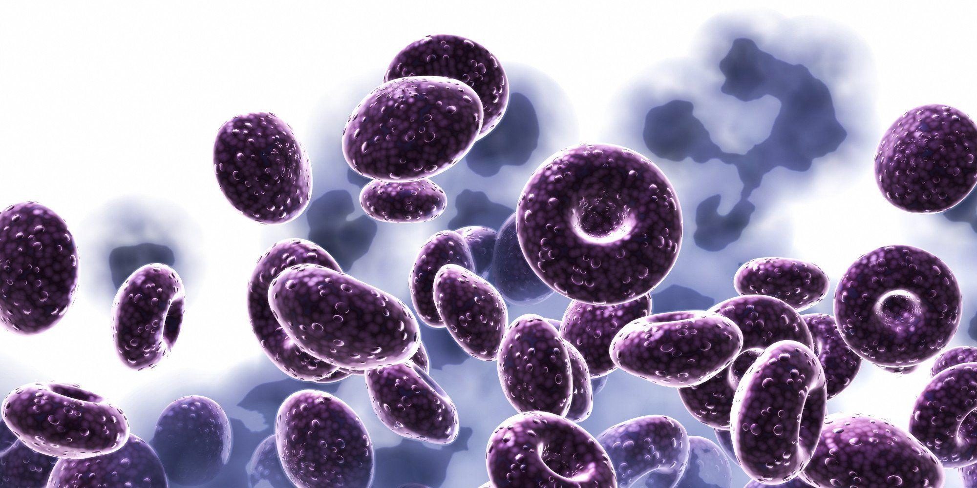 Disease Wallpapers - Top Free Disease Backgrounds - WallpaperAccess