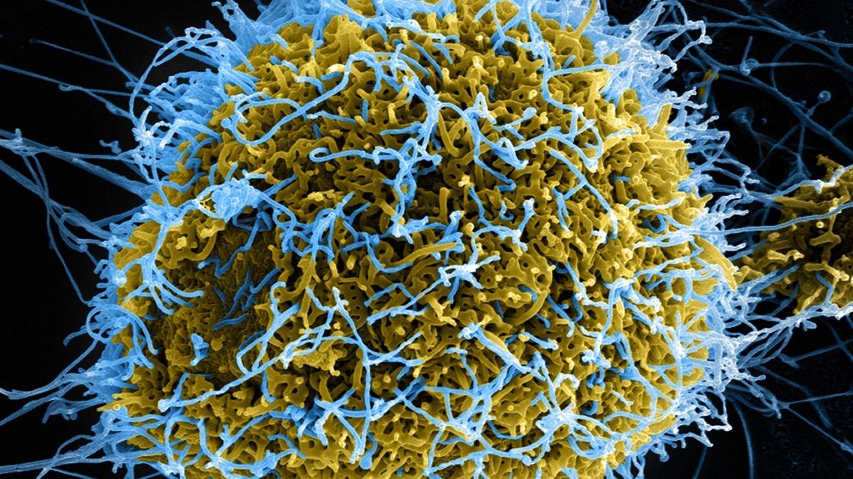 Disease Wallpapers - Top Free Disease Backgrounds - WallpaperAccess