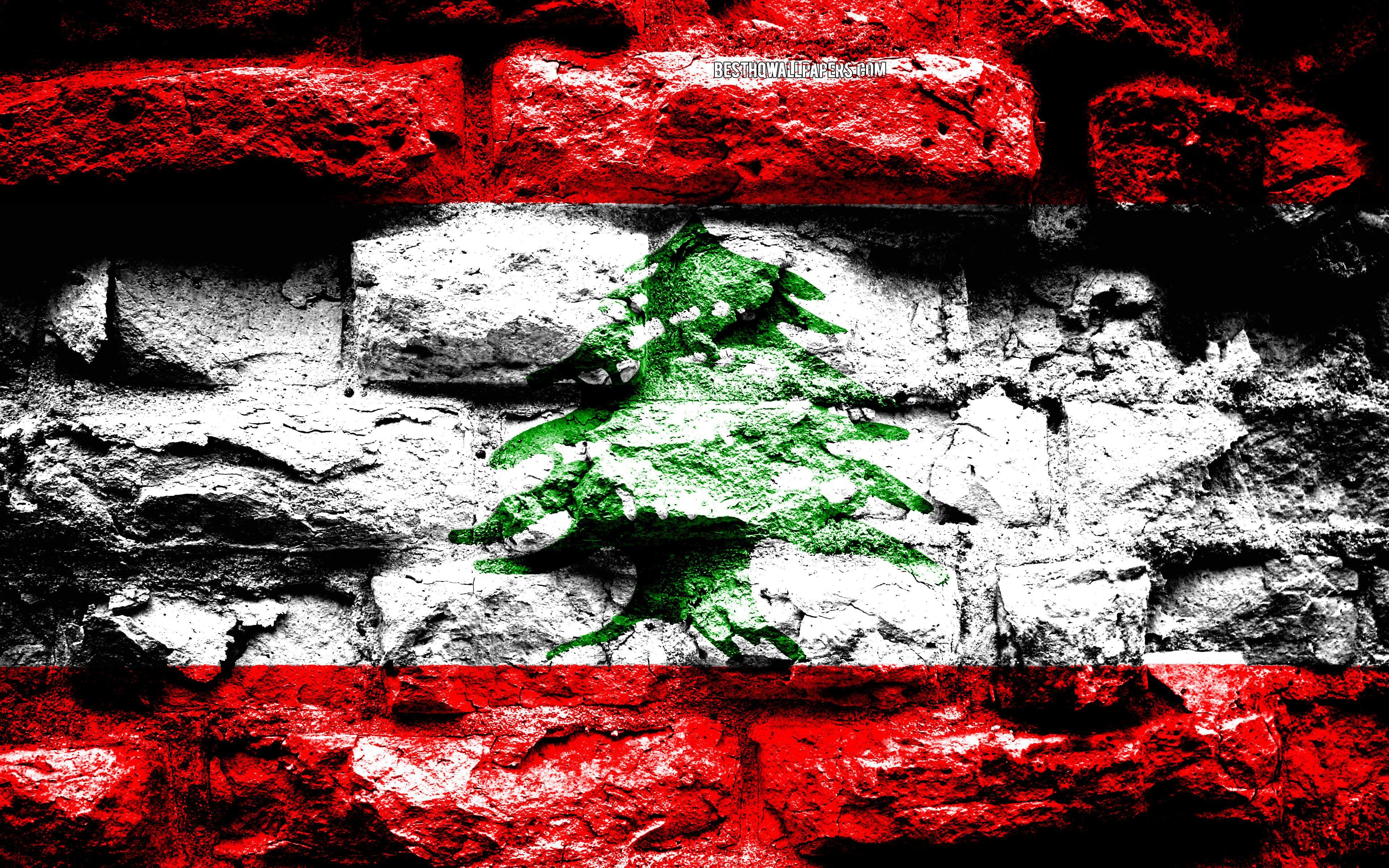 Lebanon Flag Wallpapers - Top Free Lebanon Flag Backgrounds ...