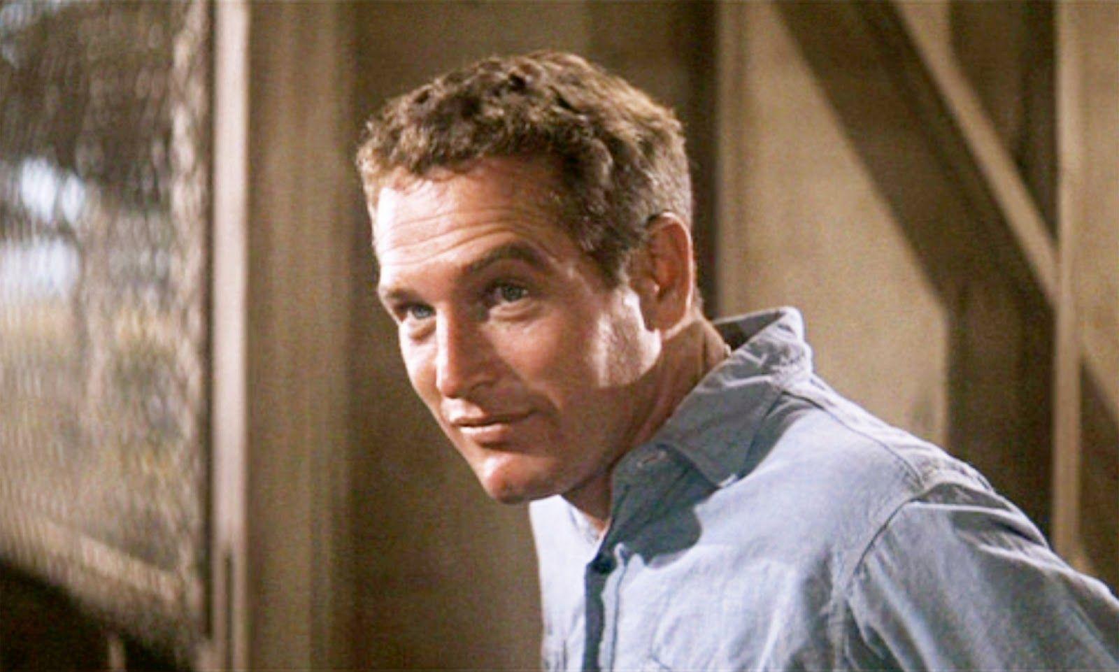 Paul Newman Wallpapers - Top Free Paul Newman Backgrounds - WallpaperAccess