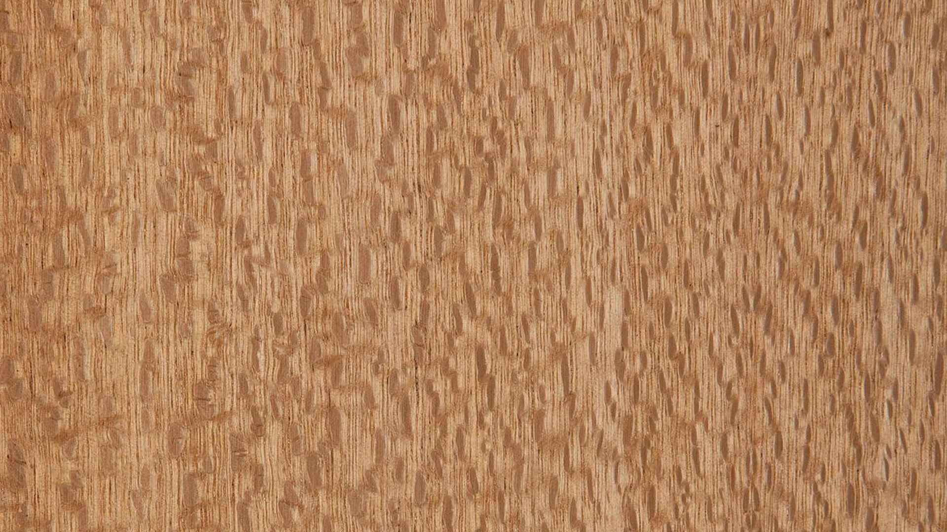 Lace Wood Wallpapers - Top Free Lace Wood Backgrounds - WallpaperAccess